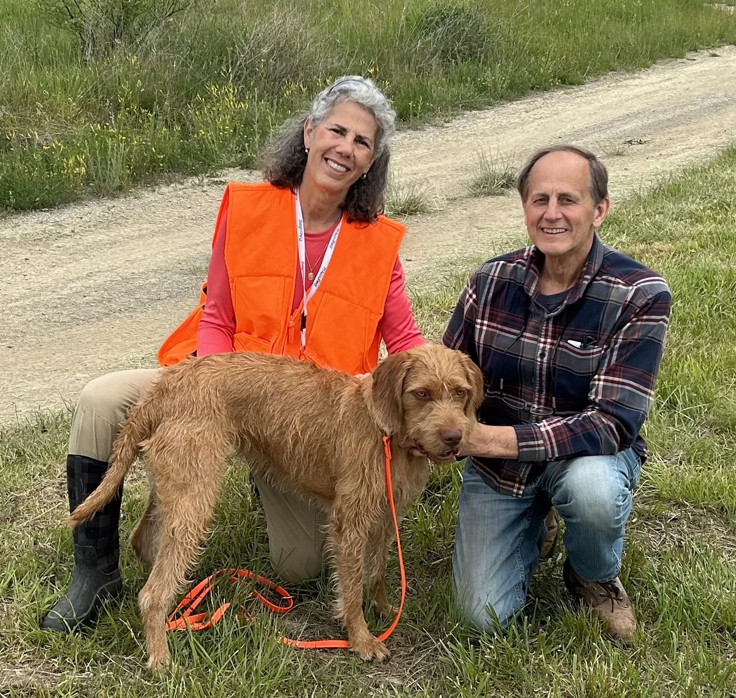 Kendra Breeding in Pennsylvania | Wirehaired Vizsla puppies | Good Dog