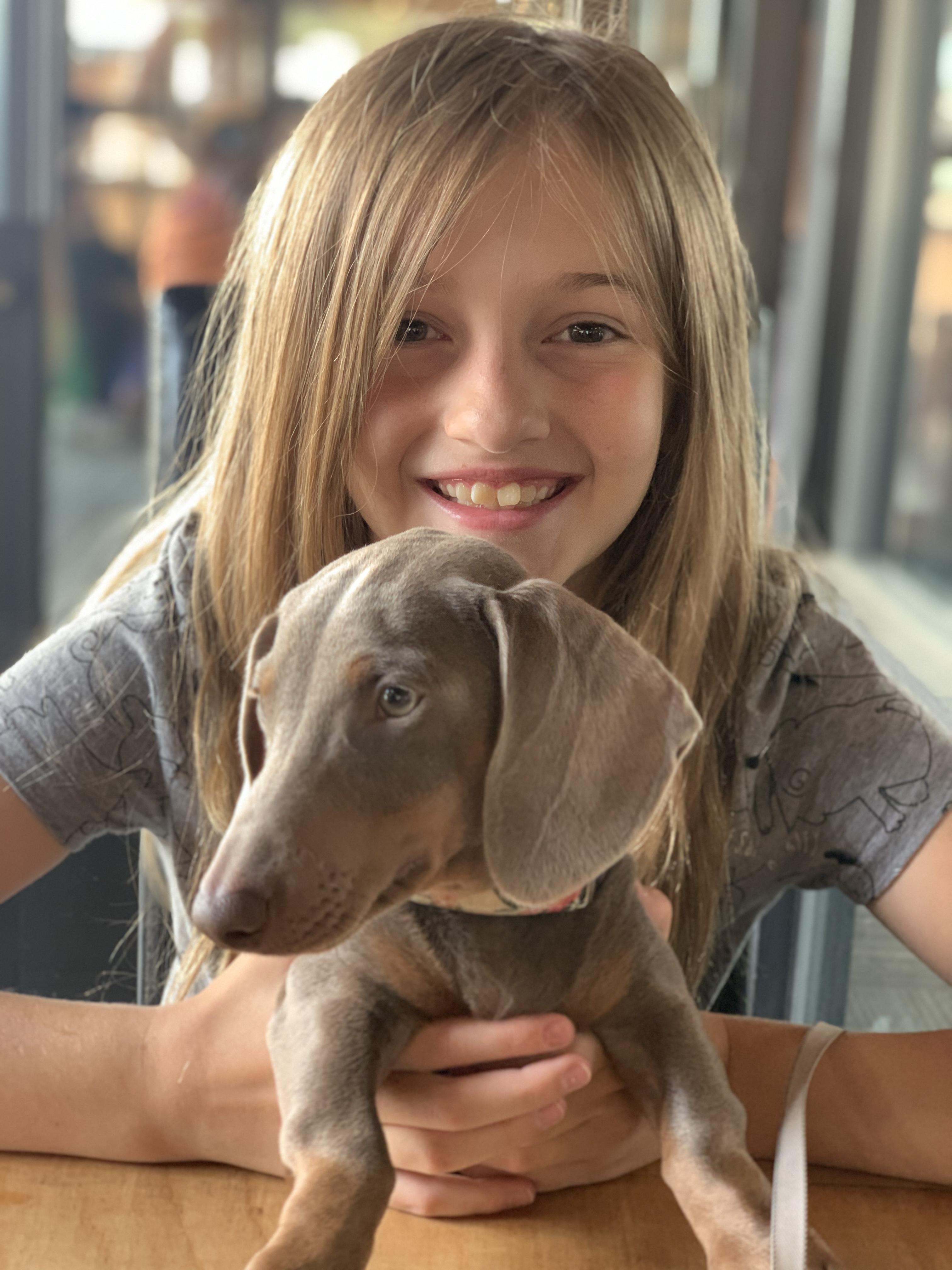 Wirz’s Weenies in California | Dachshund puppies | Good Dog