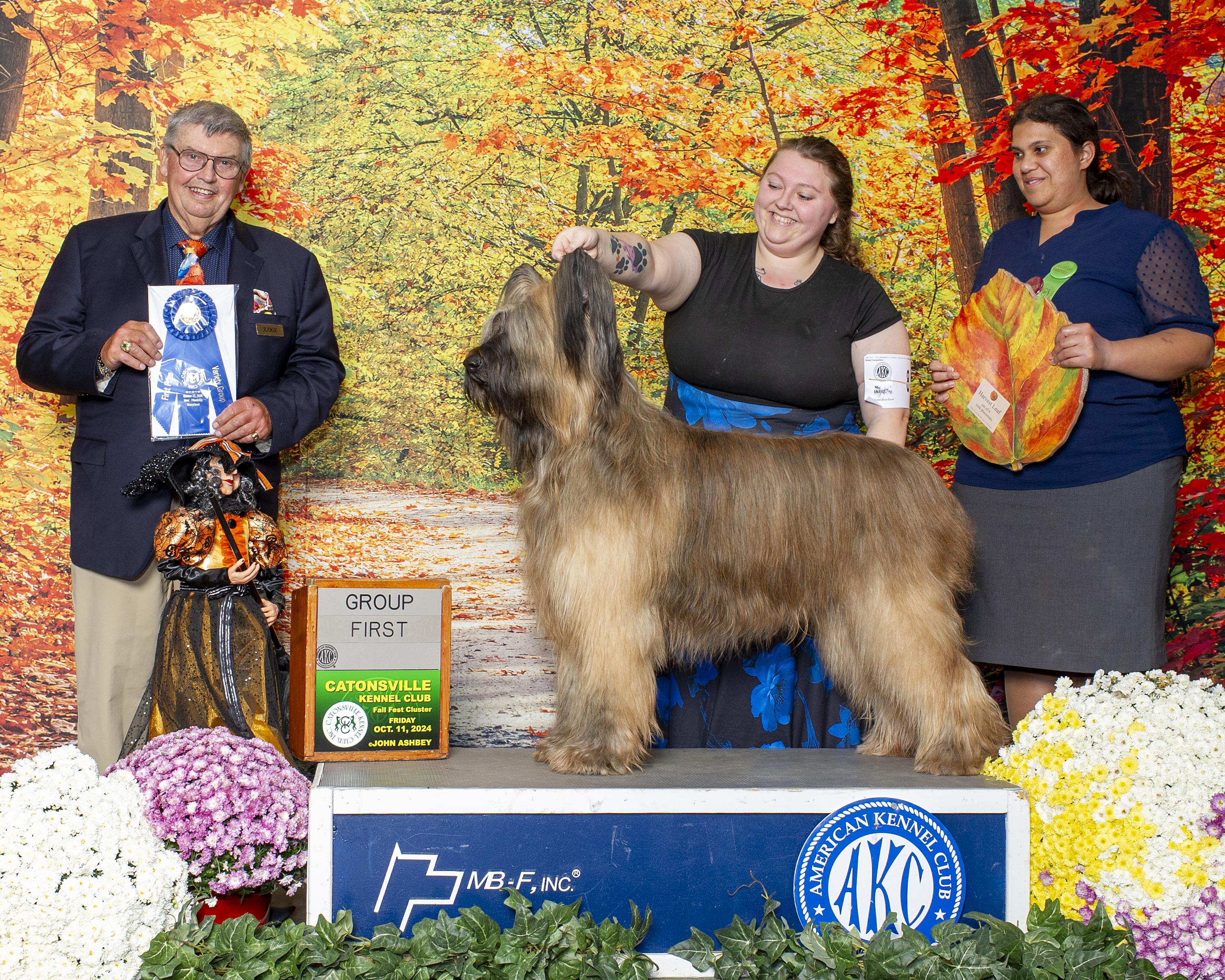 Du Coeur Rose Briards In Maryland Briard Puppies Good Dog
