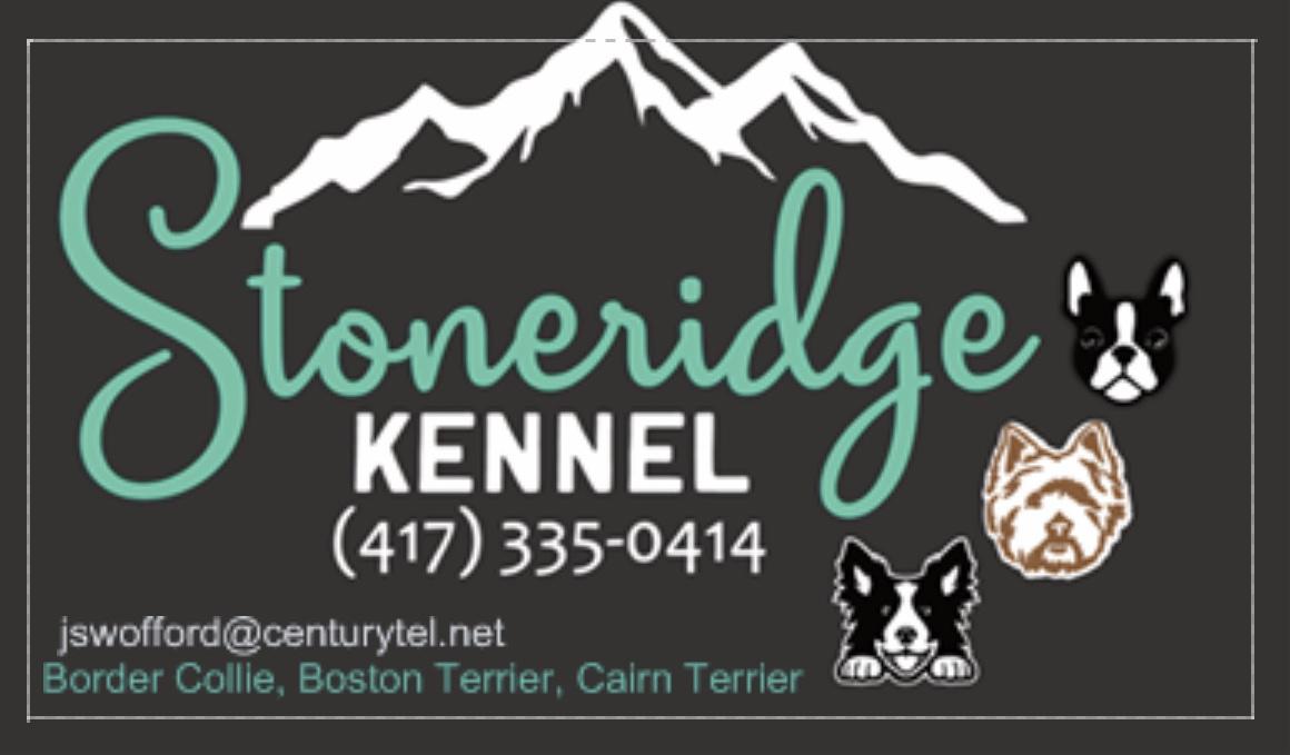 Stoneridge Kennel in Missouri | Border Collie, Boston Terrier or Cairn ...