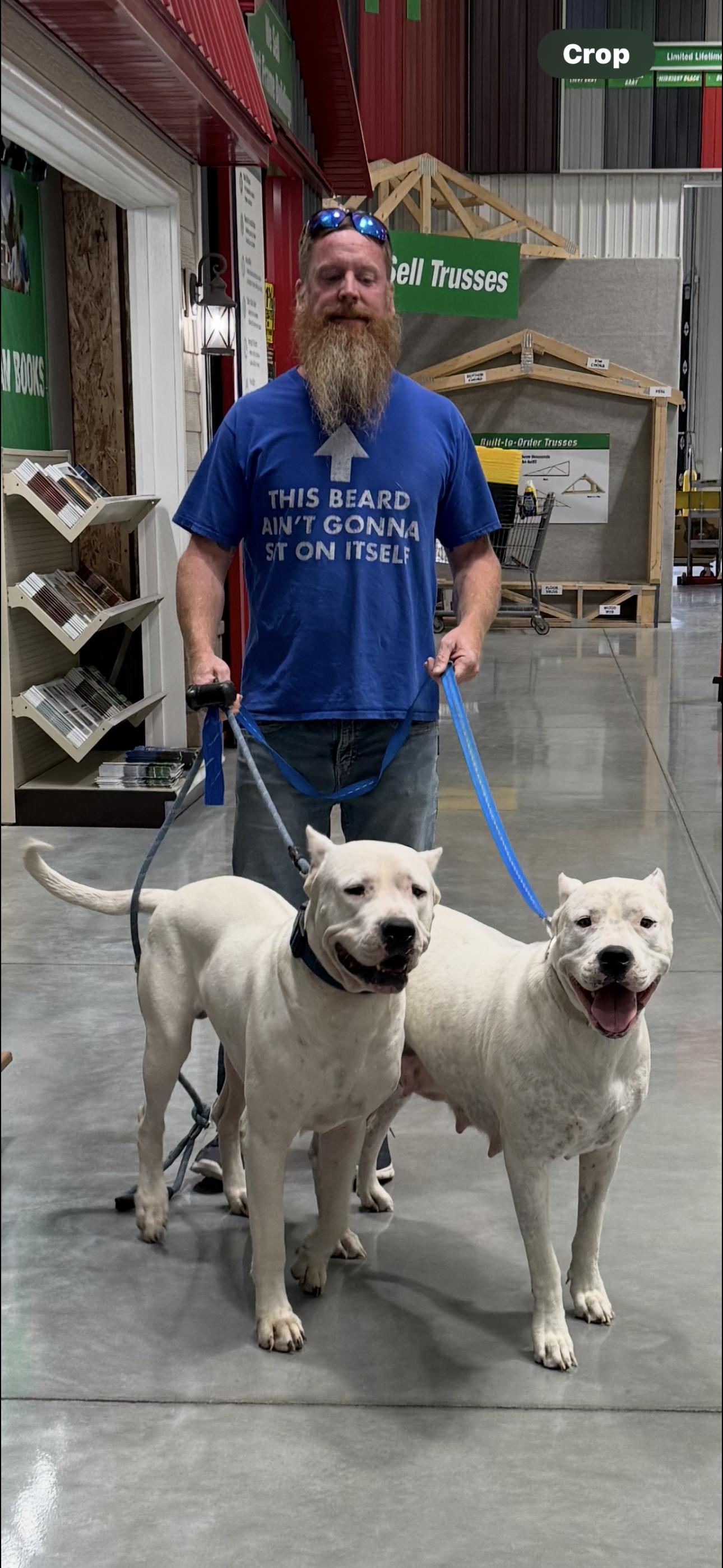 Thompson Midwest dogos in Iowa | Dogo Argentino puppies | Good Dog