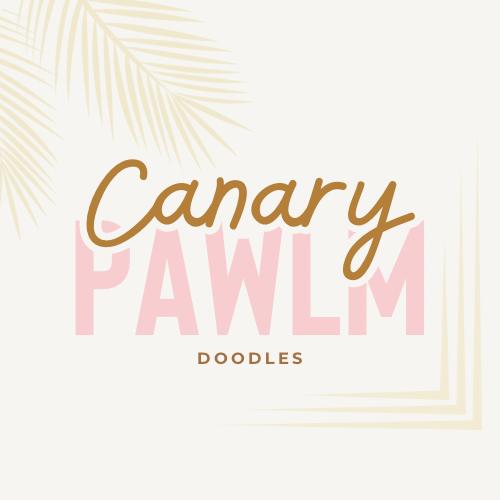 Canary Pawlm Doodles in California | Goldendoodle puppies | Good Dog