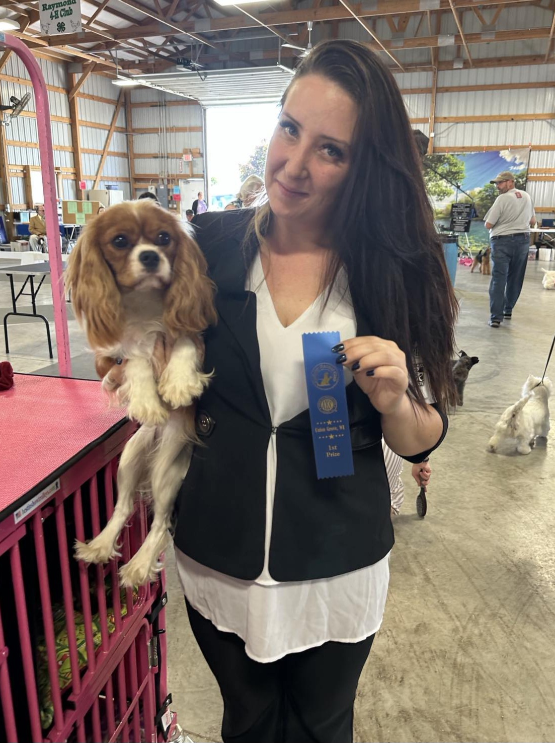 Alexandra's Royal Cavaliers in Illinois | Cavalier King Charles Spaniel ...