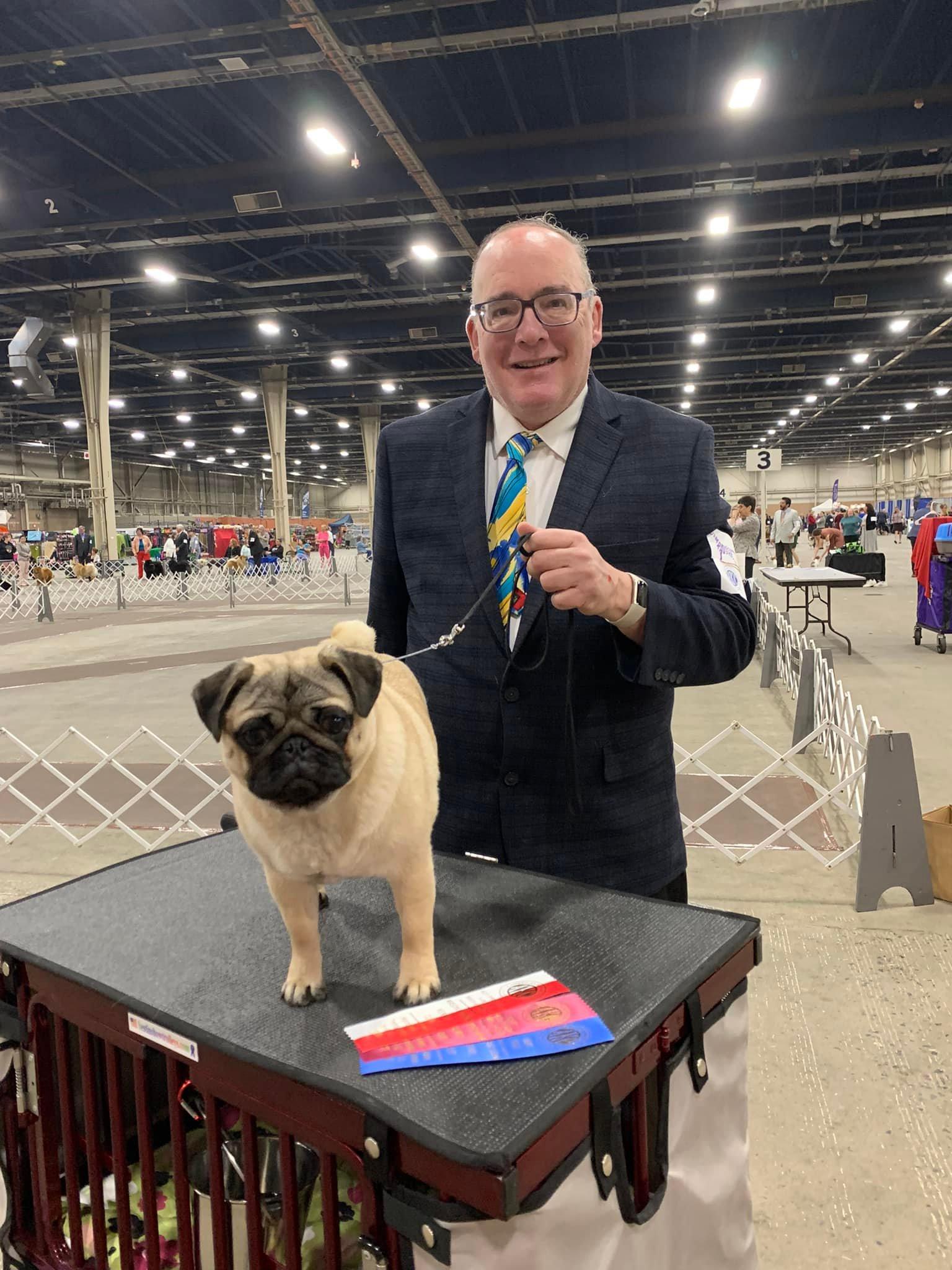Ivyside Pugs in Pennsylvania | Pug puppies | Good Dog