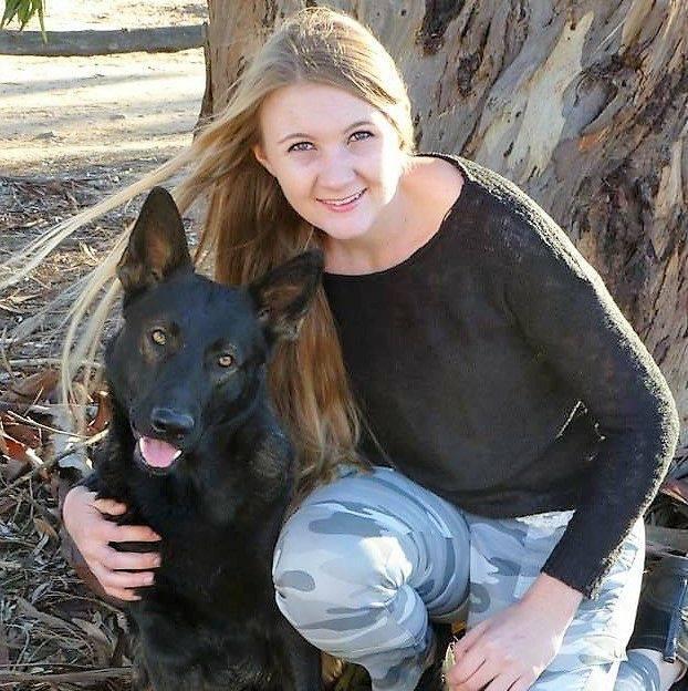 Rylee Ryckman's German Shepherds in California | German Shepherd ...