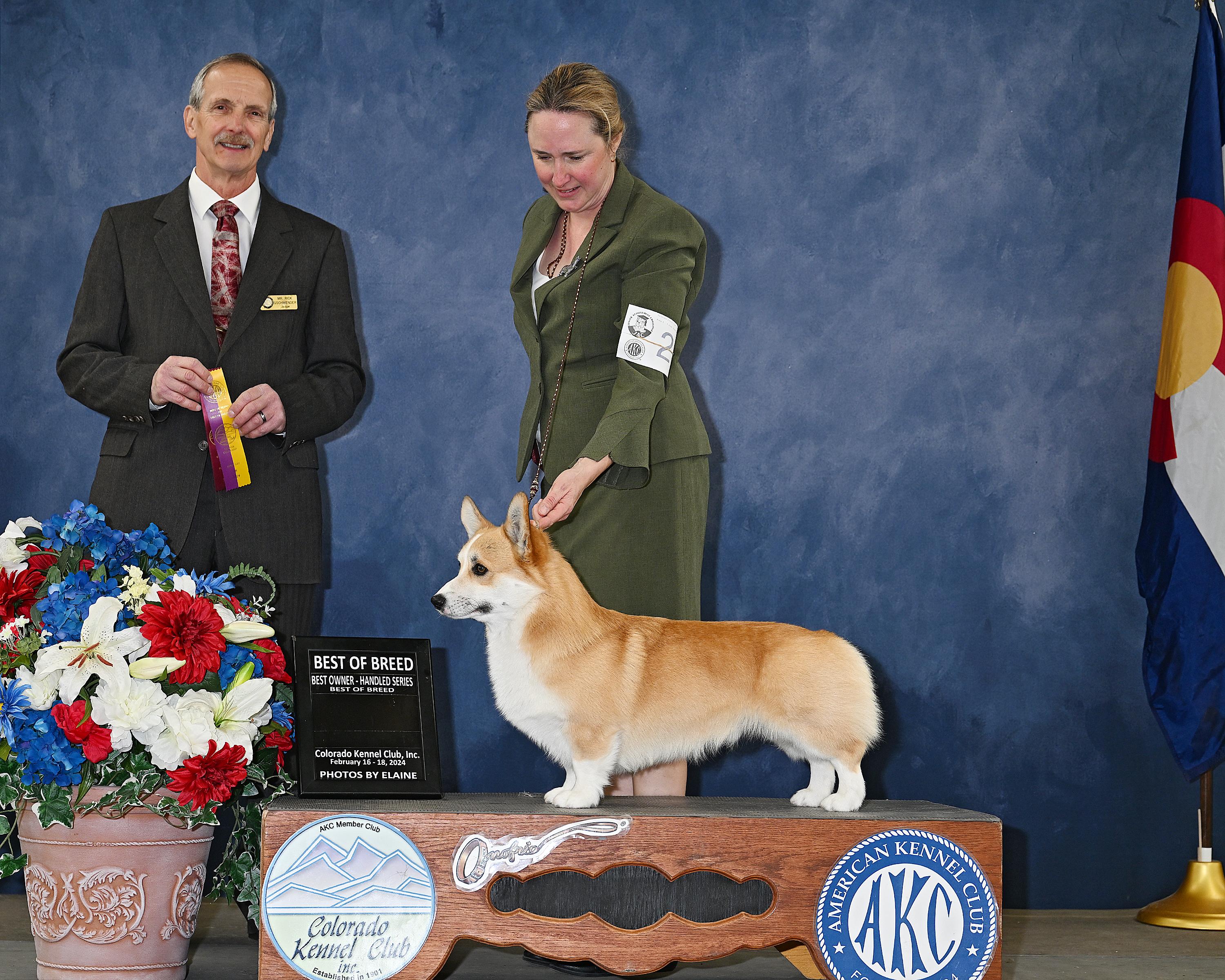 Eilatan Corgis in Colorado | Pembroke Welsh Corgi puppies | Good Dog
