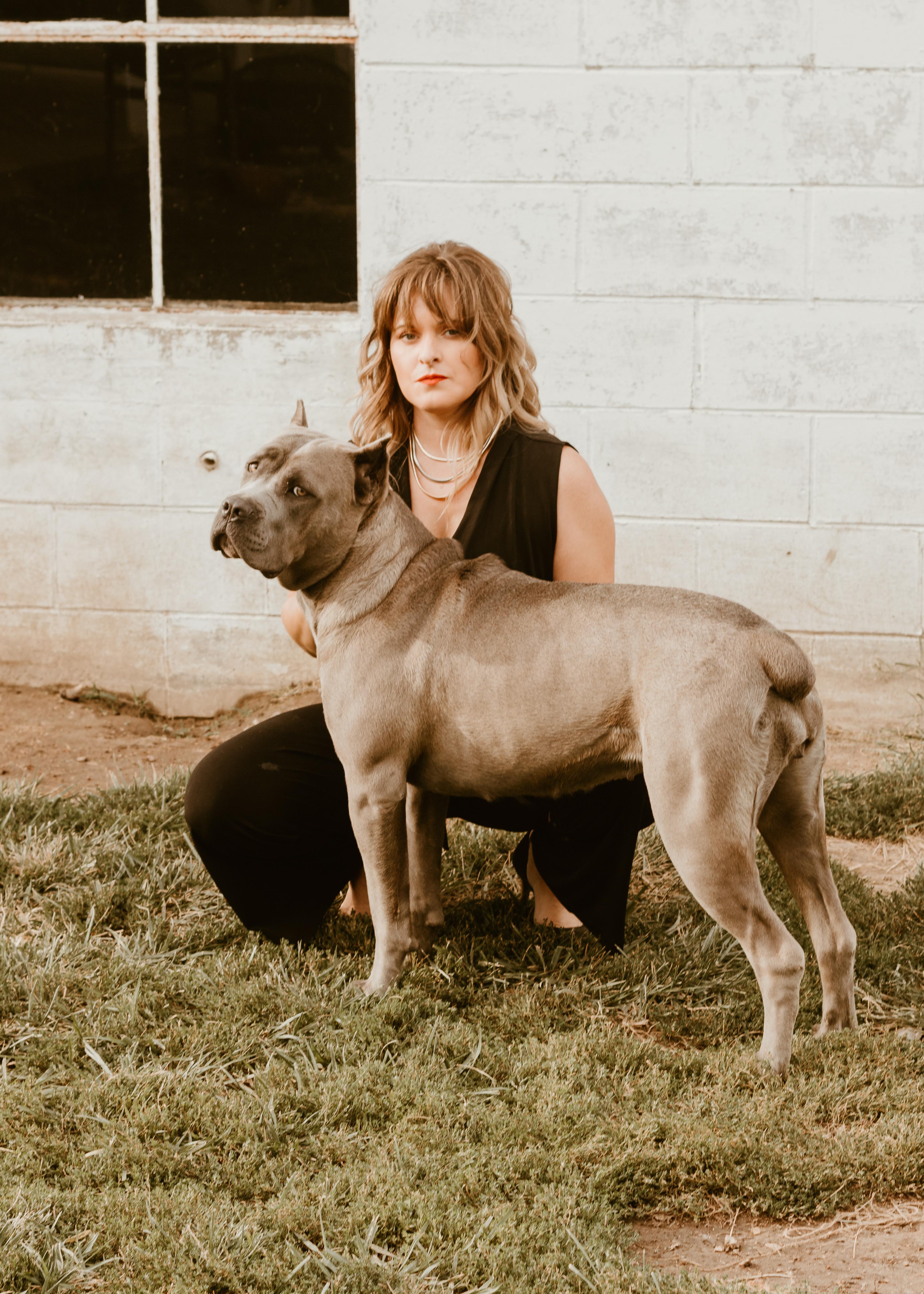 Soaring Royalty Canines LLC in Missouri | Boxer and Cane Corso puppies ...