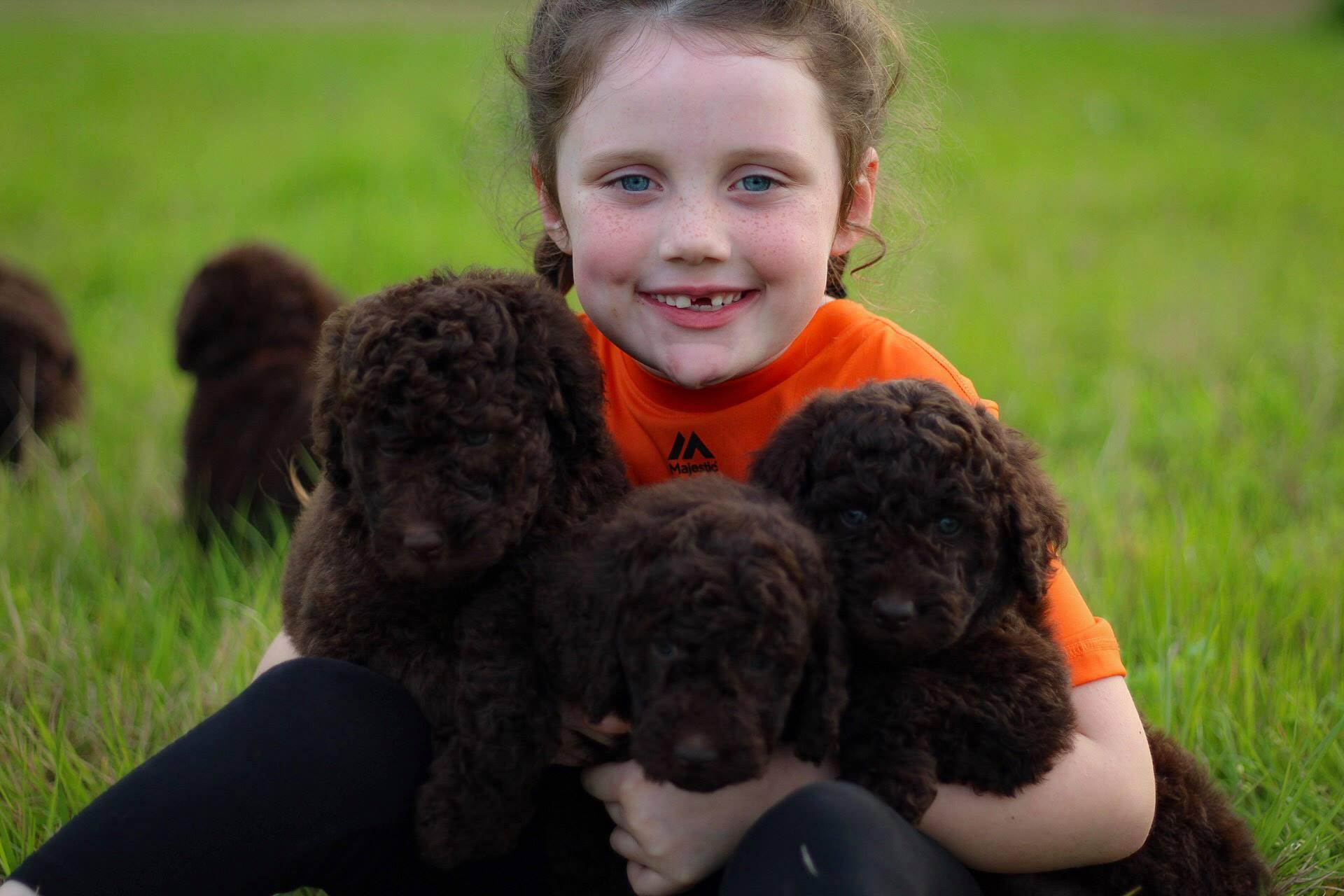 Cullens Classic Poodles in Georgia | Poodle puppies | Good Dog