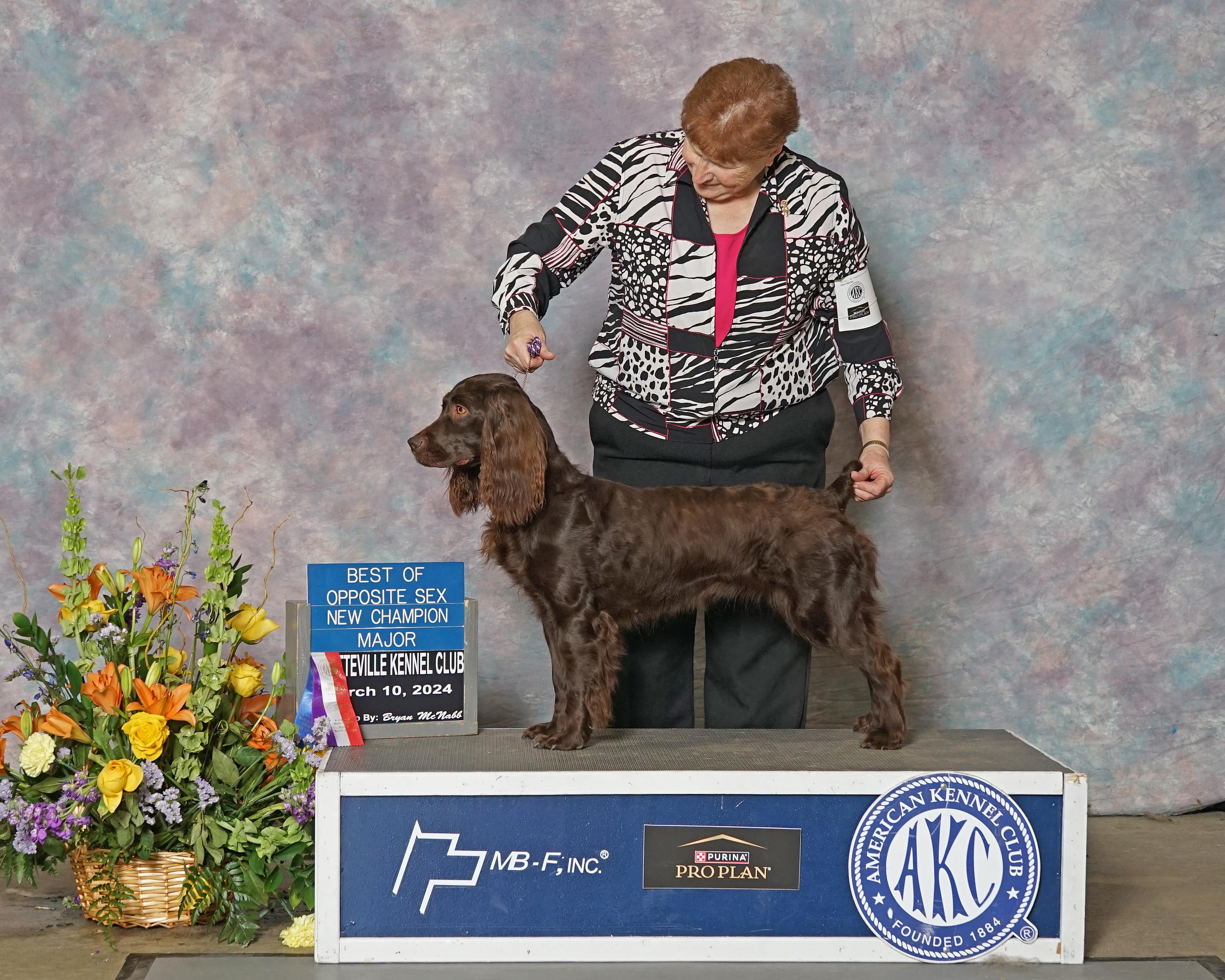 Big Medicine Kennel in New Jersey | Boykin Spaniel and Chesapeake Bay ...