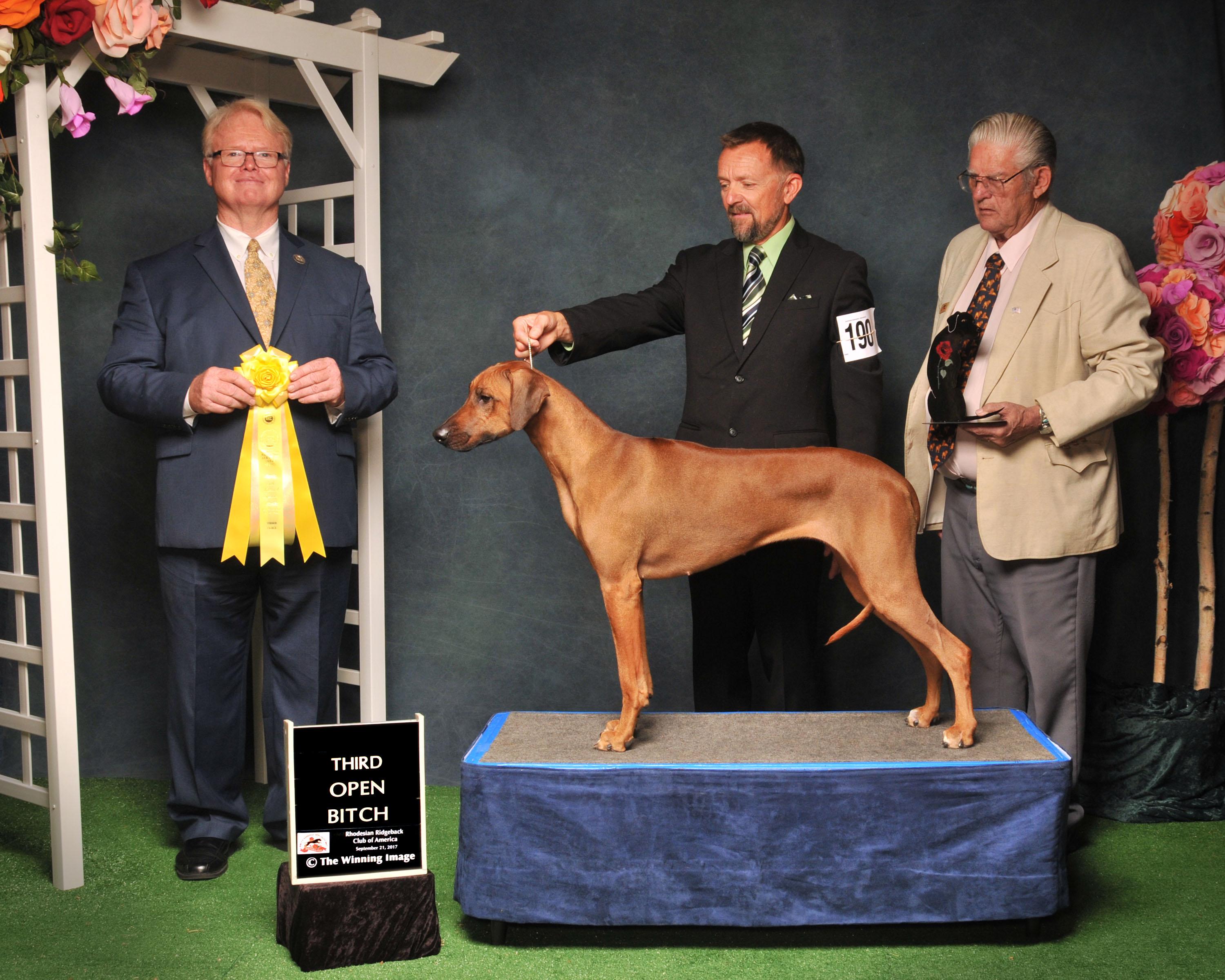 DragonRidge in Nevada | Rhodesian Ridgeback puppies | Good Dog