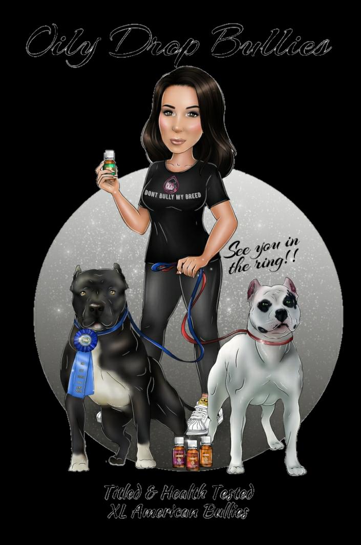 Oily Drop Bullies in New York | American Bully puppies | Good Dog