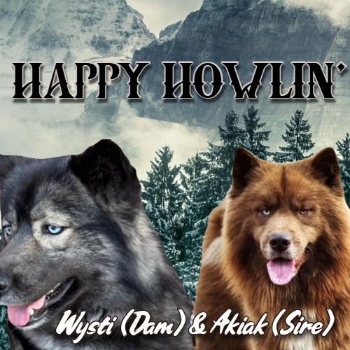 Happy Howlin' Smokey Mountain Huskies in Nebraska | Siberian Husky ...