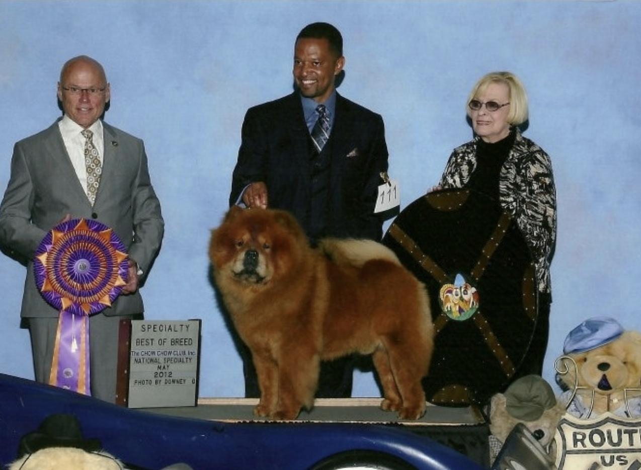 Padow Chows in Nevada | Chow Chow puppies | Good Dog