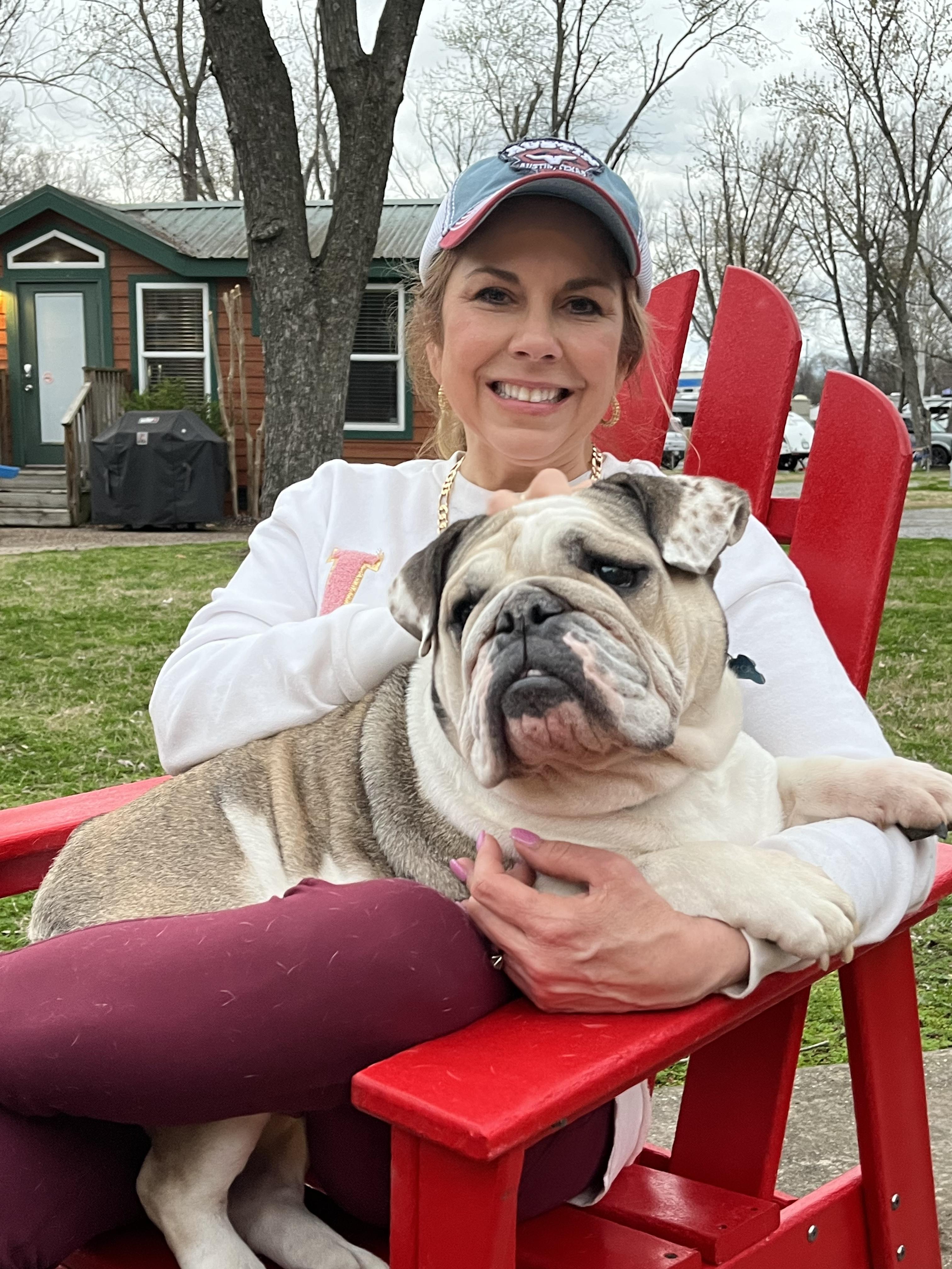 Midwest Bulldogs in Indiana | Bulldog and French Bulldog puppies | Good Dog