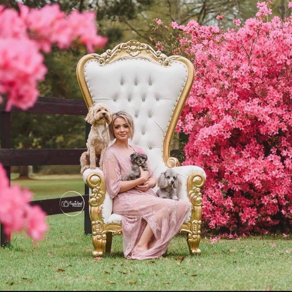 Southern Posh Doodles in Mississippi | Cockapoo puppies | Good Dog