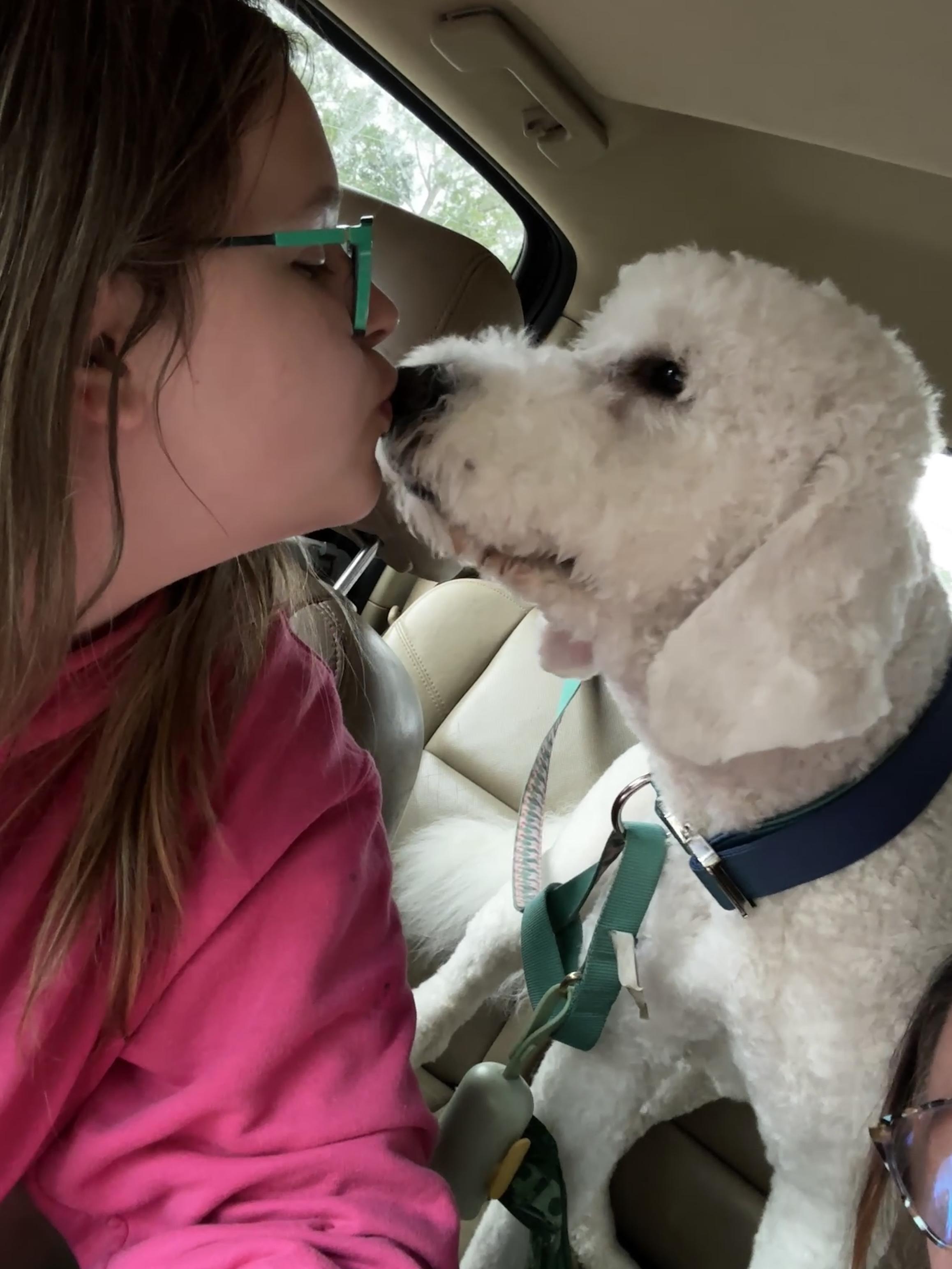 Serenity Goldendoodles in Florida | Goldendoodle puppies | Good Dog