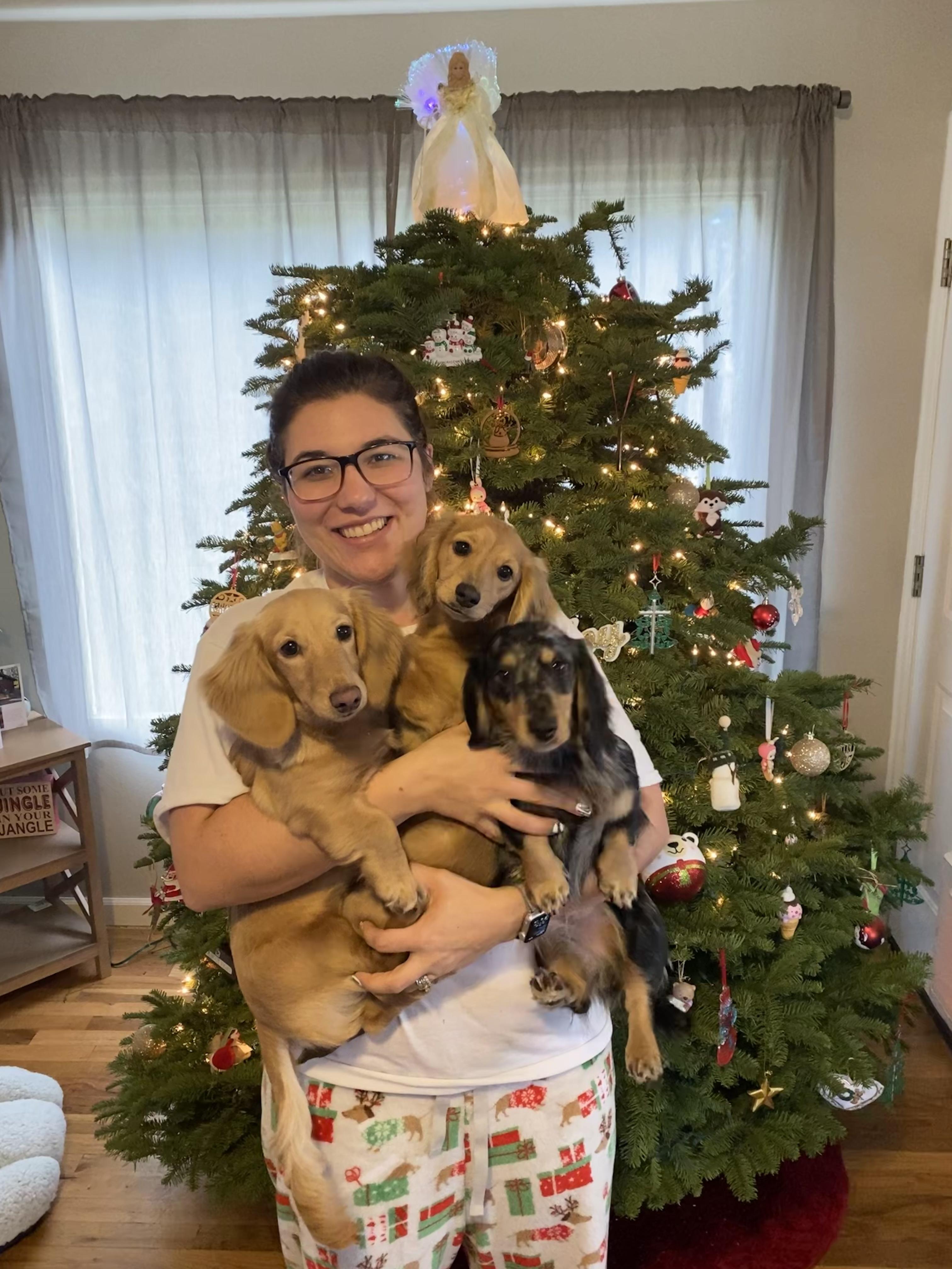 Long Dog Farm in Oregon | Dachshund puppies | Good Dog