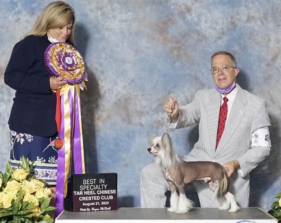 Victory in New York | Chinese Crested and Lowchen puppies | Good Dog