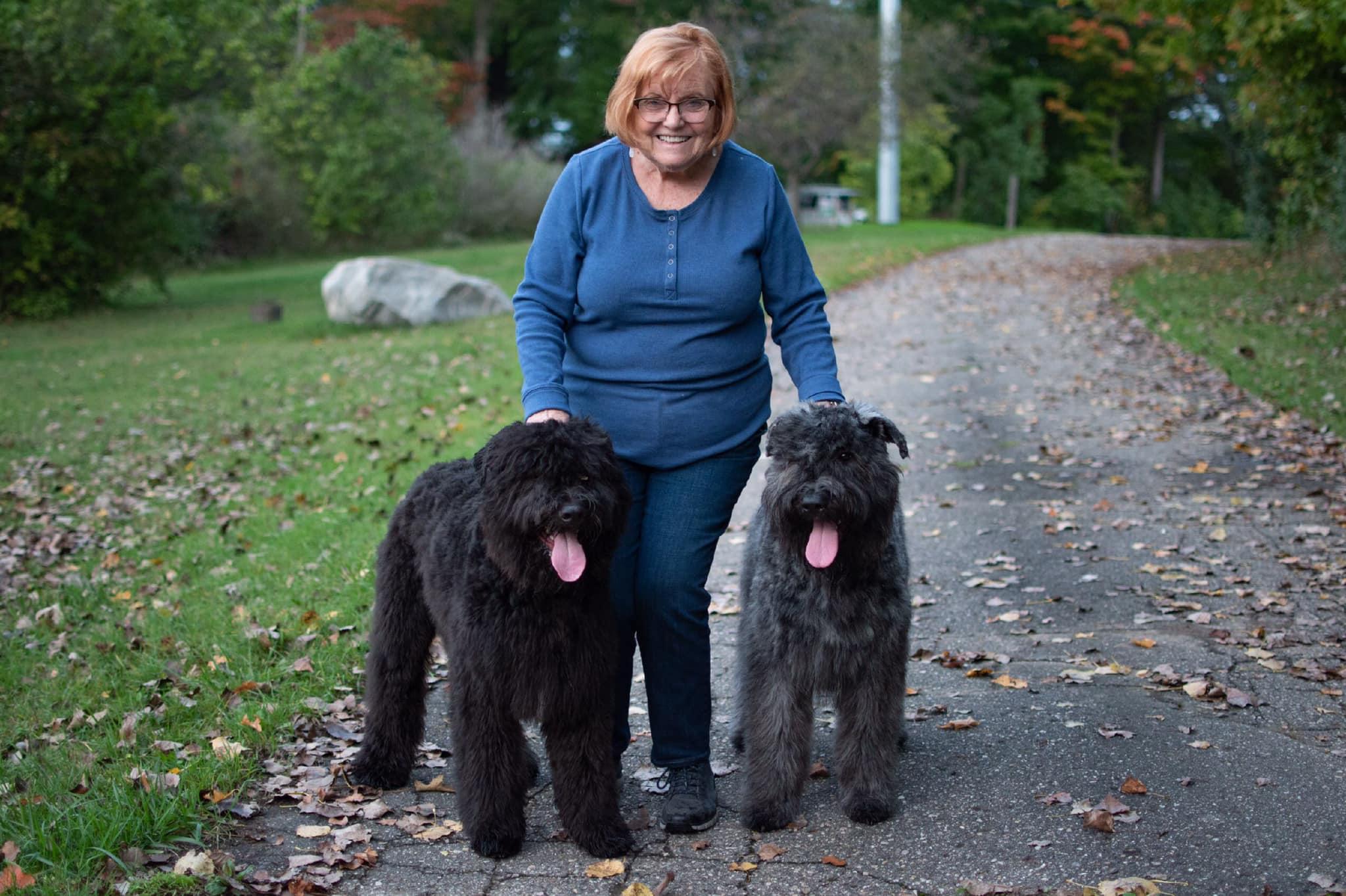 Perrin Bouviers in Michigan | Bouvier des Flandres and Tibetan Terrier ...
