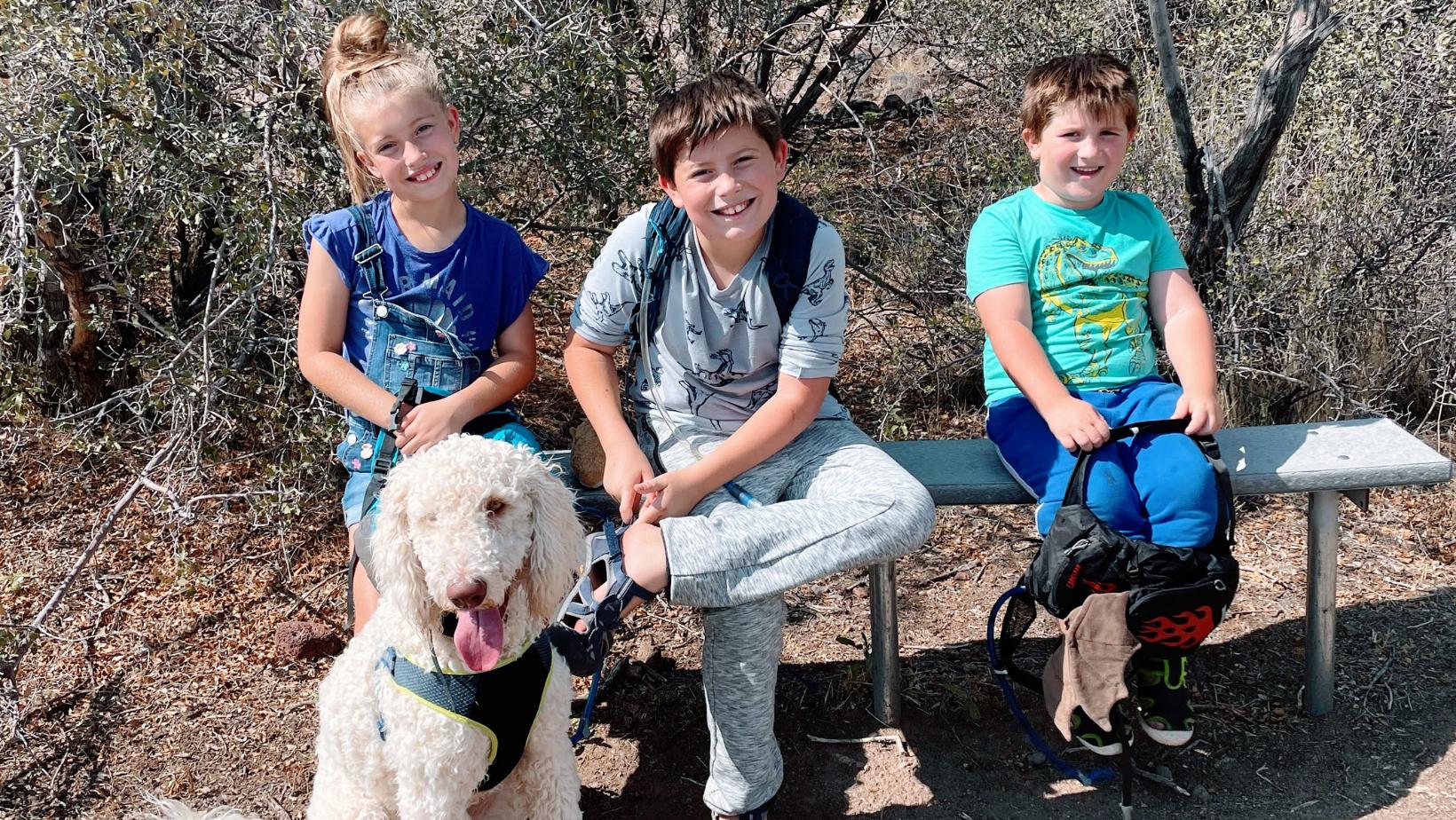 The Dood Ranch in Arizona | Labradoodle puppies | Good Dog