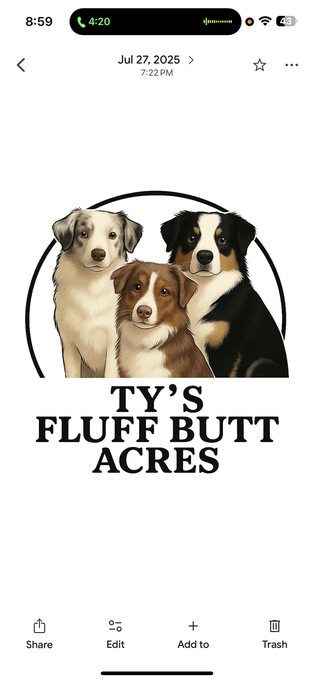 Ty's Fluff Butt Acres in Florida | Miniature Australian Shepherd ...