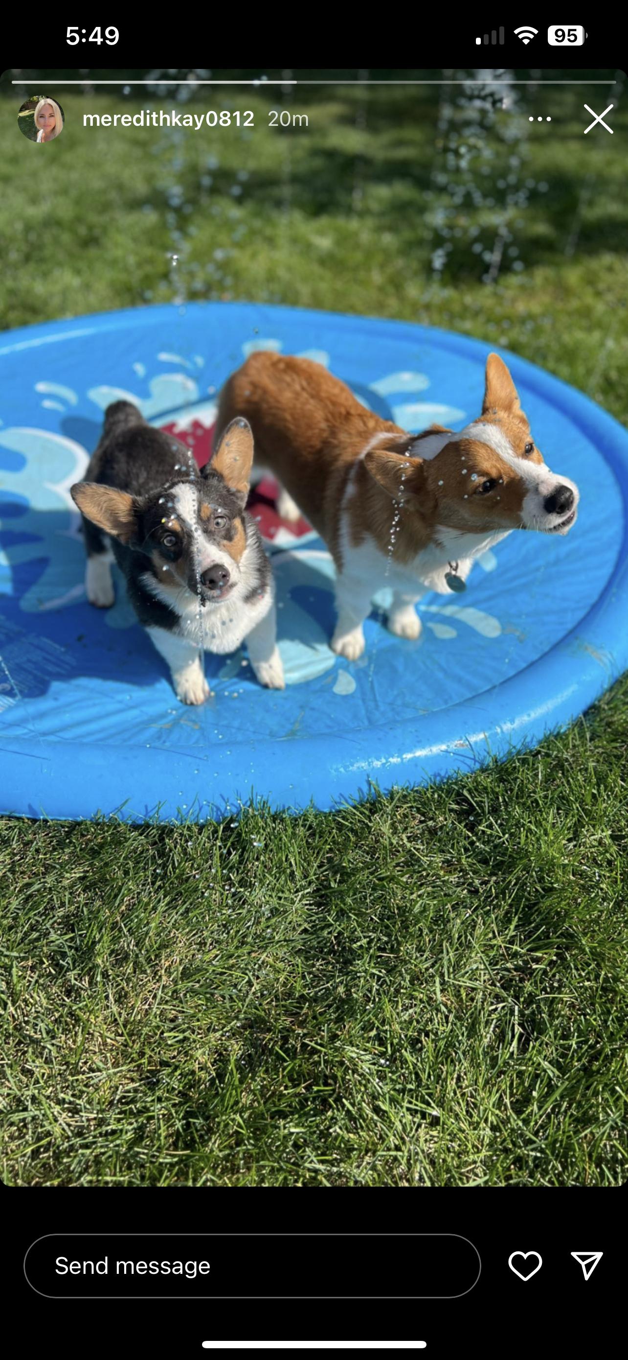 Chase Em All Corgis in Arkansas | Pembroke Welsh Corgi puppies | Good Dog