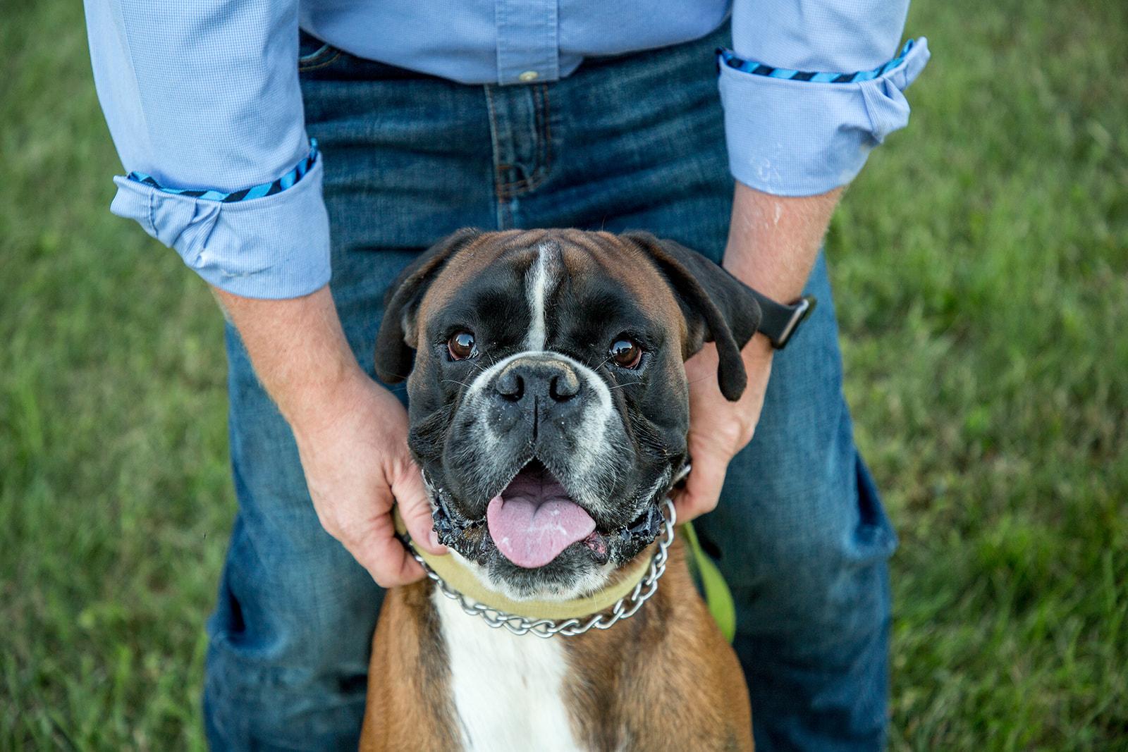 Barnyard Boxers in Ohio | Boxer puppies | Good Dog