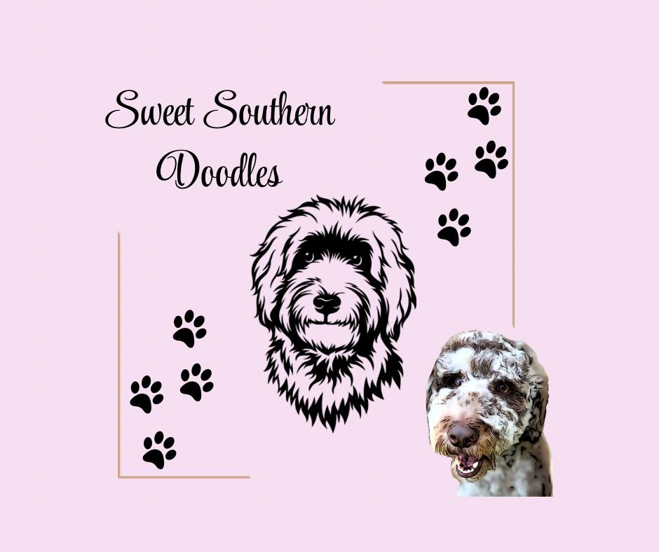 Sweet Southern Doodles in Georgia | Goldendoodle and Assorted Doodle ...