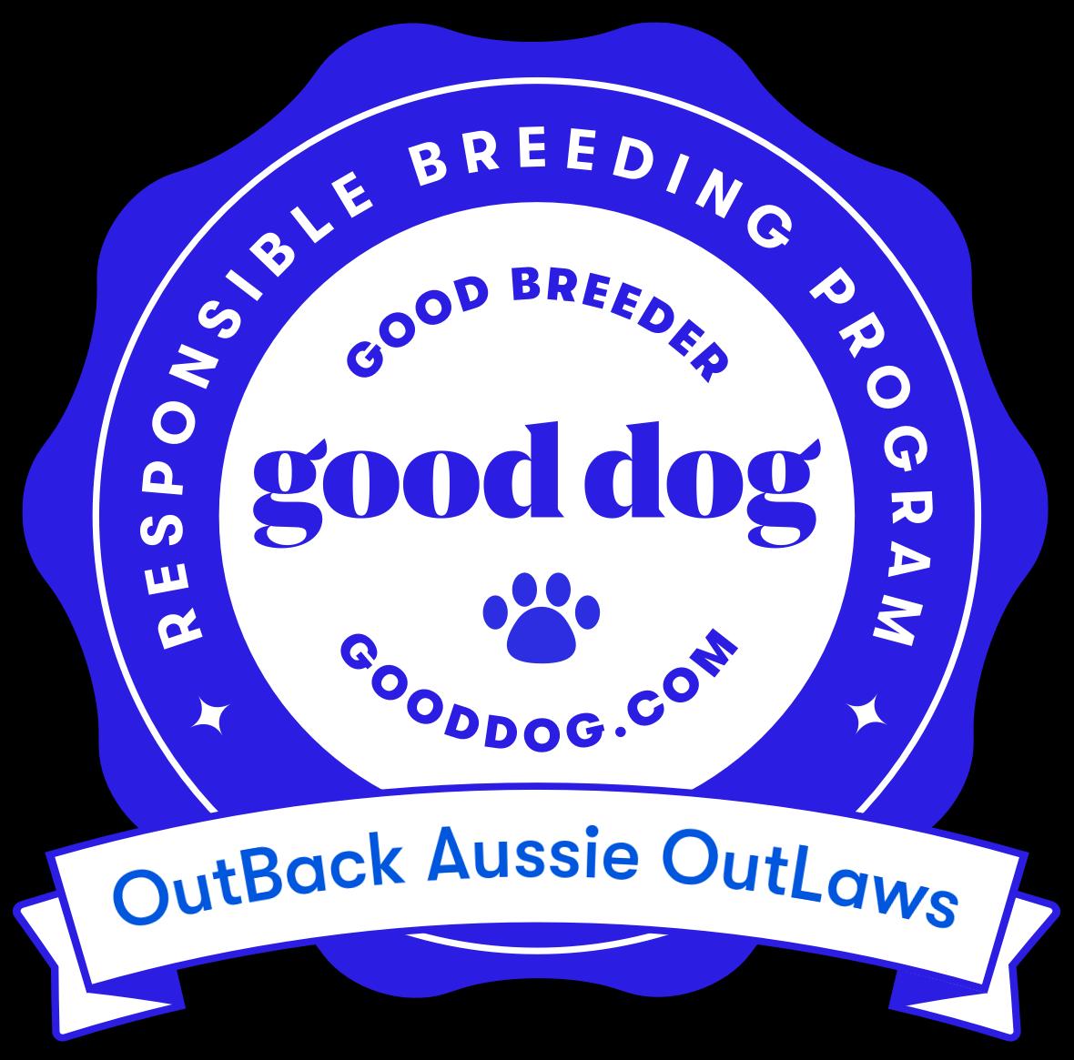 OutBack Aussie OutLaws in Oklahoma | Australian Shepherd puppies | Good Dog