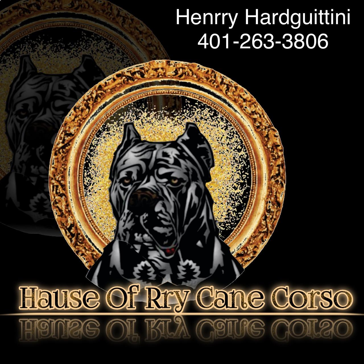 Hause of Rry Rotties & Cane Corso in South Carolina | Cane Corso and ...