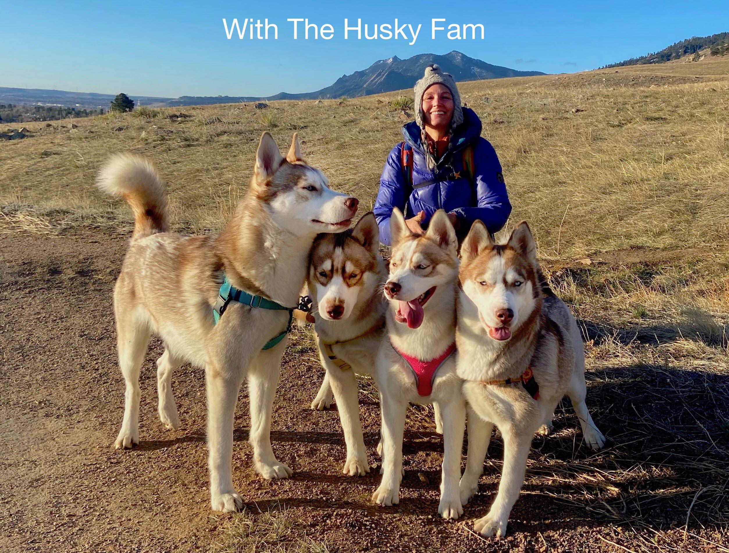 Mahavidya Siberians in Colorado | Siberian Husky puppies | Good Dog