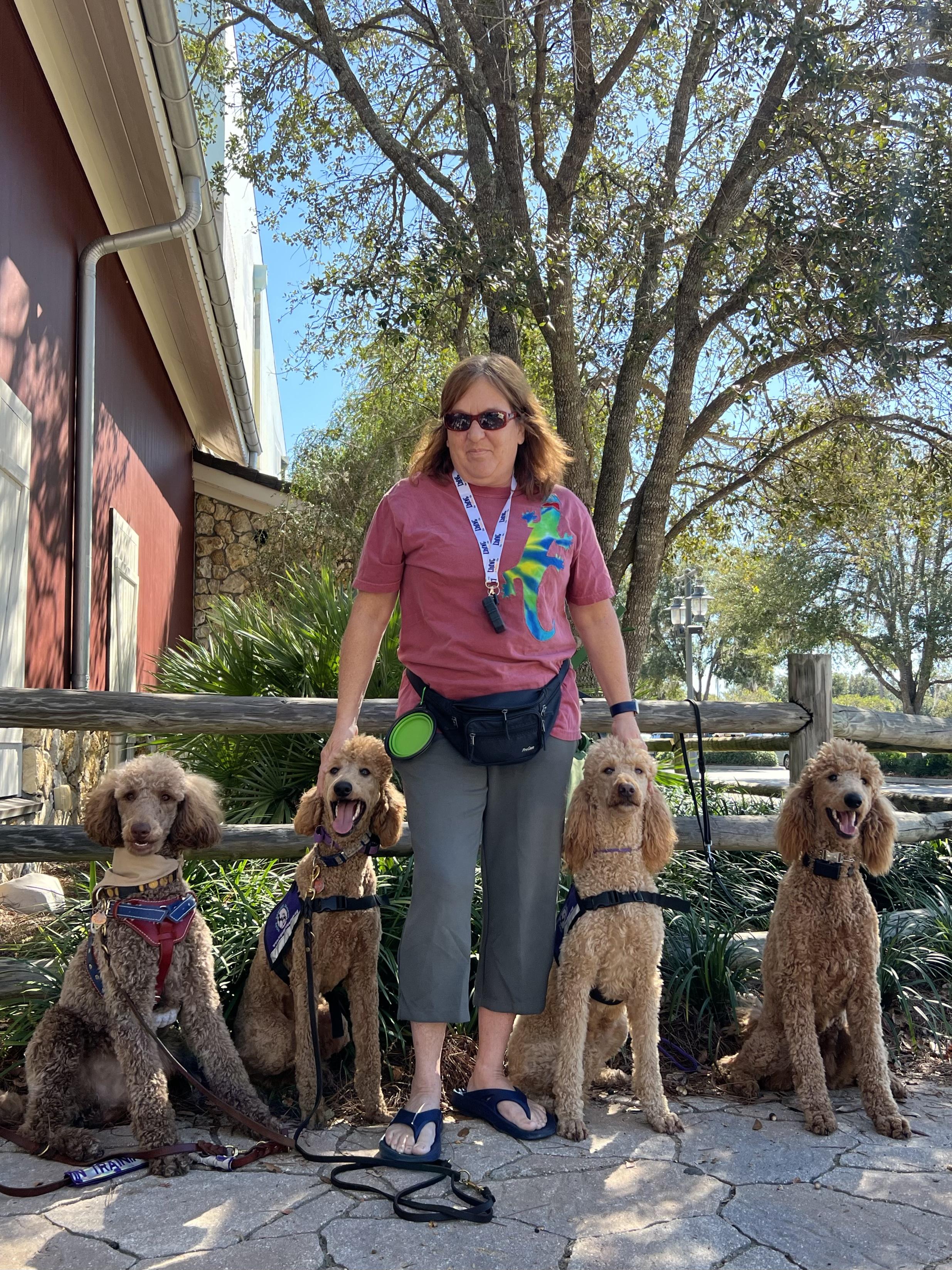Carolyn's Service Poodles in Florida | Poodle puppies | Good Dog