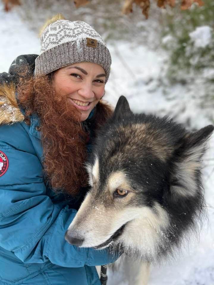 The Flying Buffalo's Alaskan Malamute Ranch in Connecticut | Alaskan ...