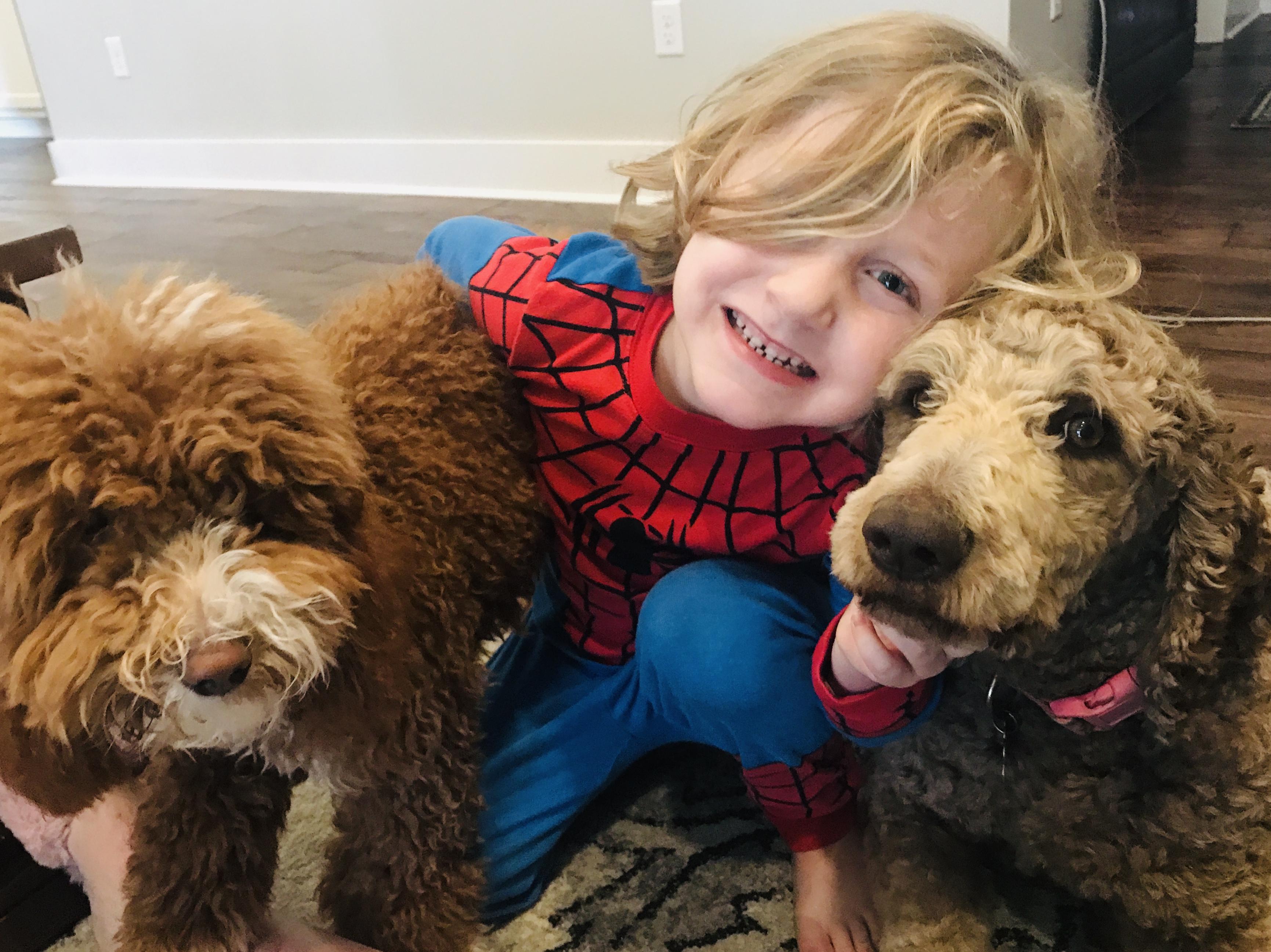 Sweet Southern Doodles in Alabama | Goldendoodle and Sheepadoodle ...