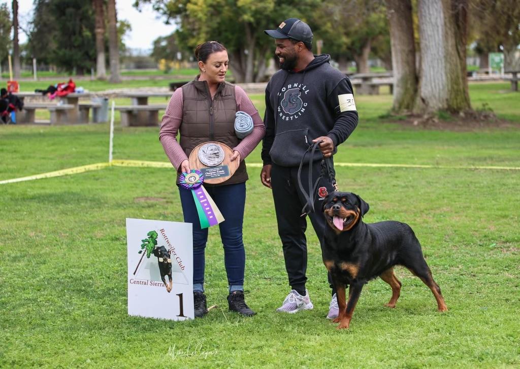 Milton's Rottweilers in Virginia | Rottweiler puppies | Good Dog