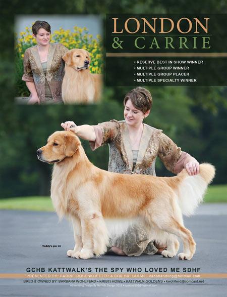 Kattwalk in Minnesota | Golden Retriever puppies | Good Dog