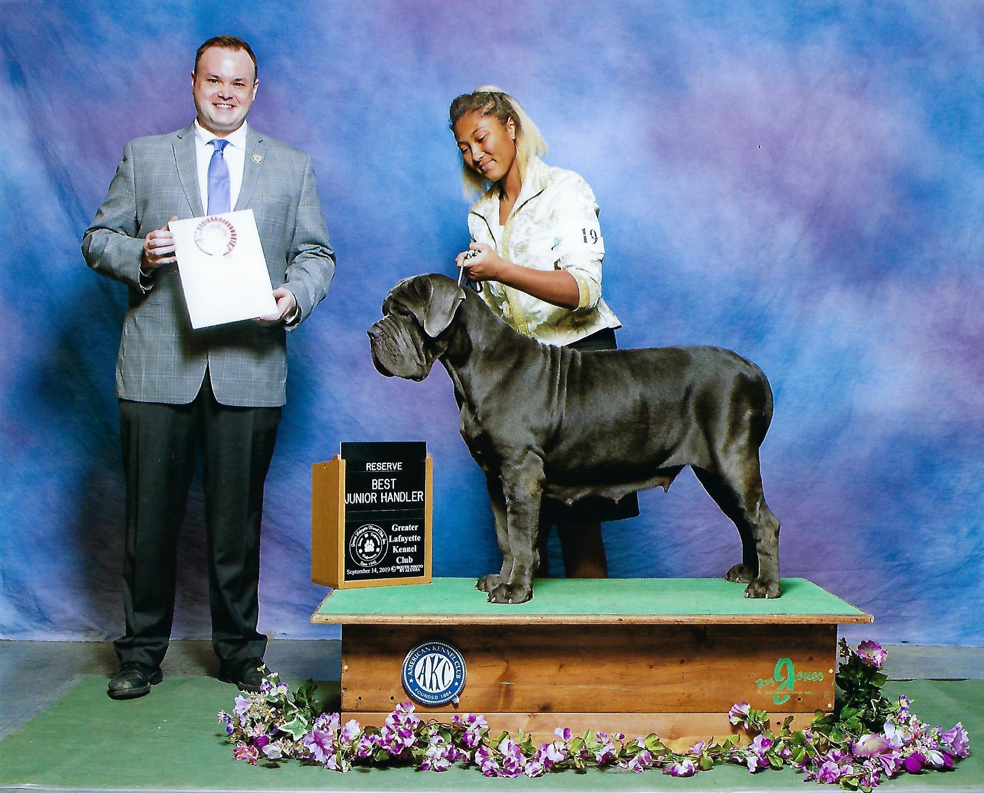 EDIN Farms Neos in Missouri | Neapolitan Mastiff puppies | Good Dog