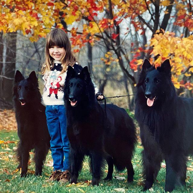 Celebre in Alabama | Afghan Hound and Belgian Sheepdog puppies | Good Dog