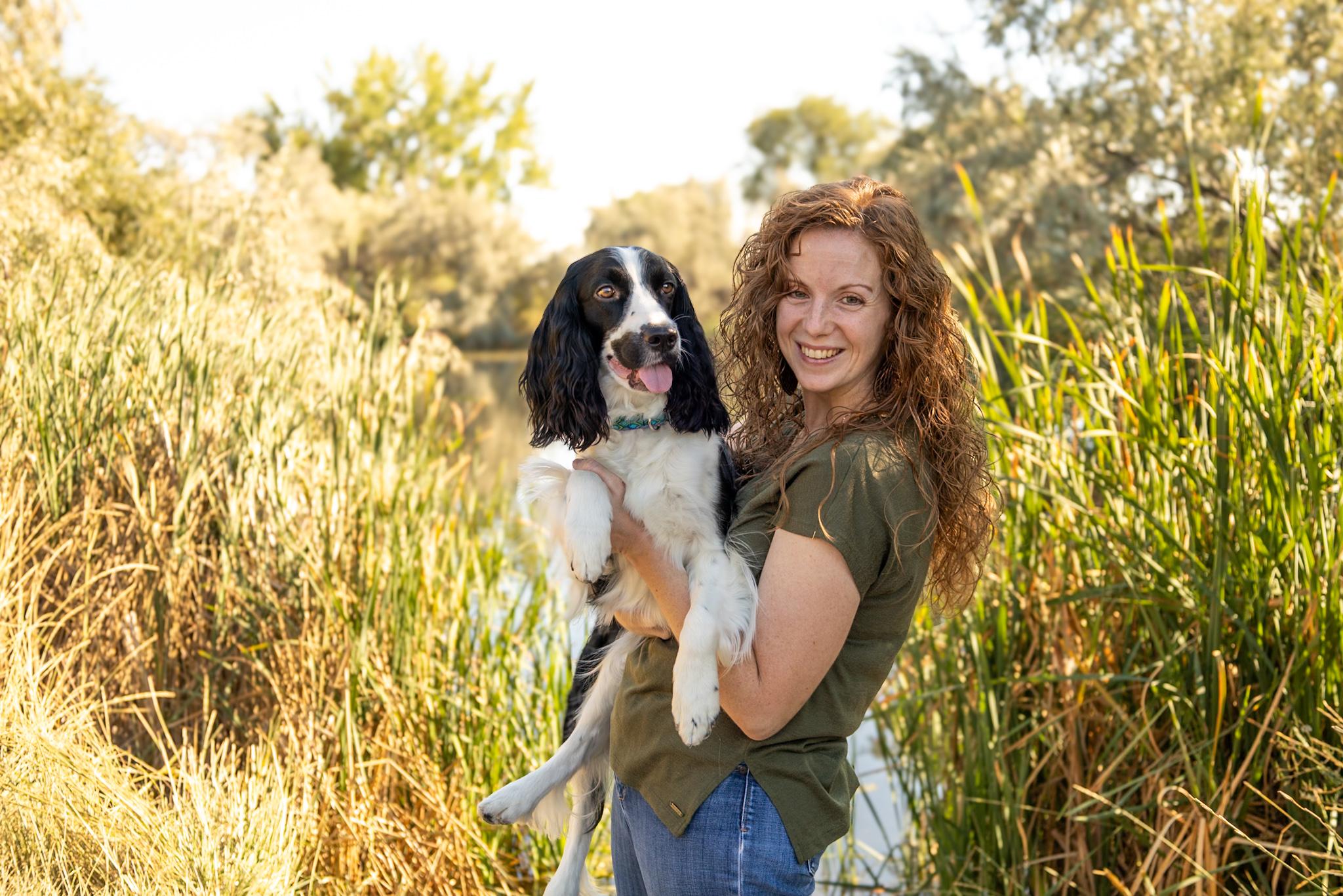 Canyon Sage Springers in Idaho | English Springer Spaniel puppies ...