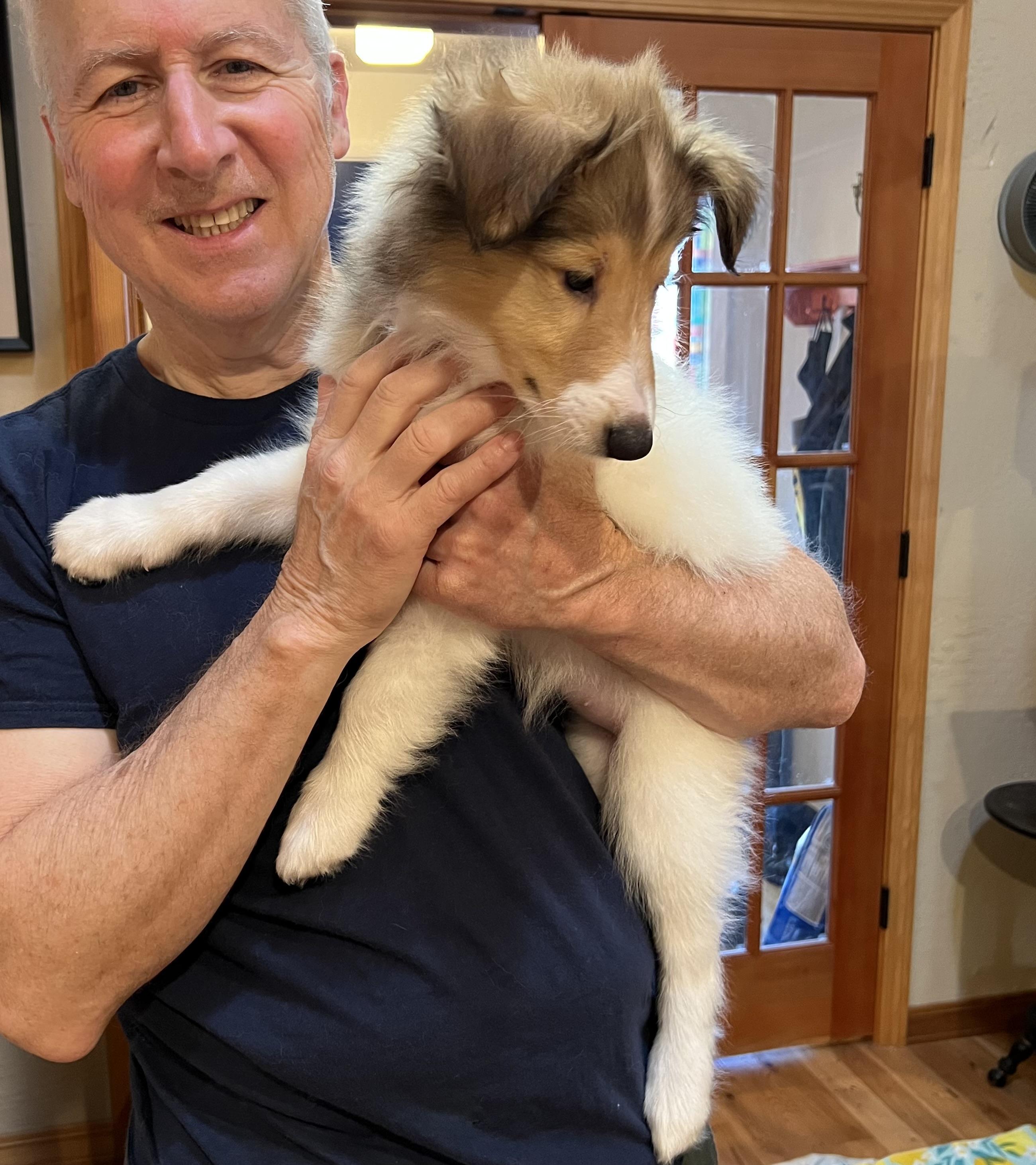 Rogue Valley Rough Collies in Oregon | Collie puppies | Good Dog