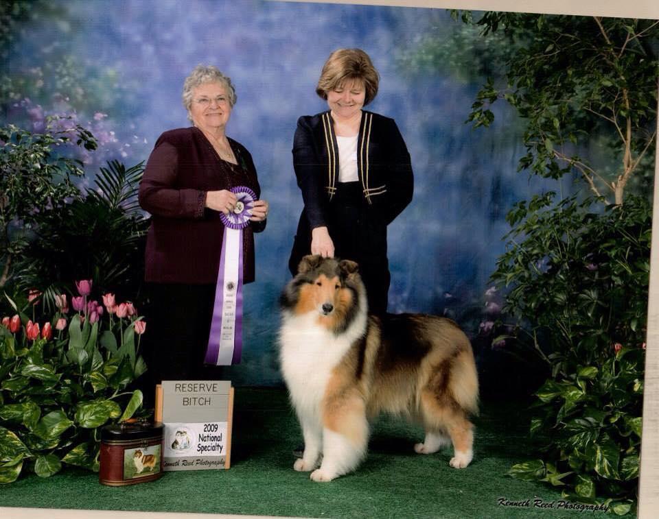Kara Christo Collies in Ohio | Collie puppies | Good Dog