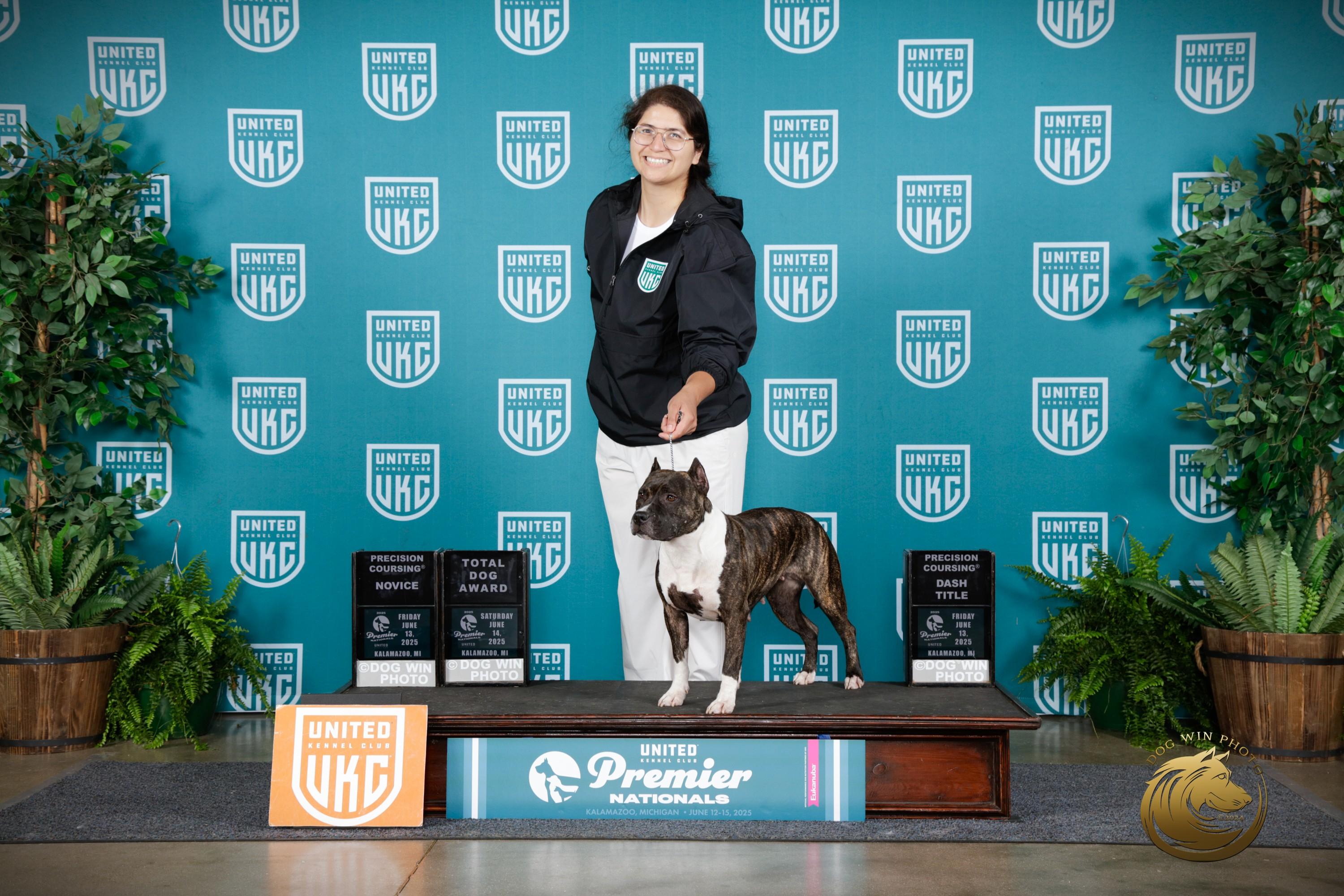 AptiBull Terriers in Tennessee | American Pit Bull Terrier and American ...