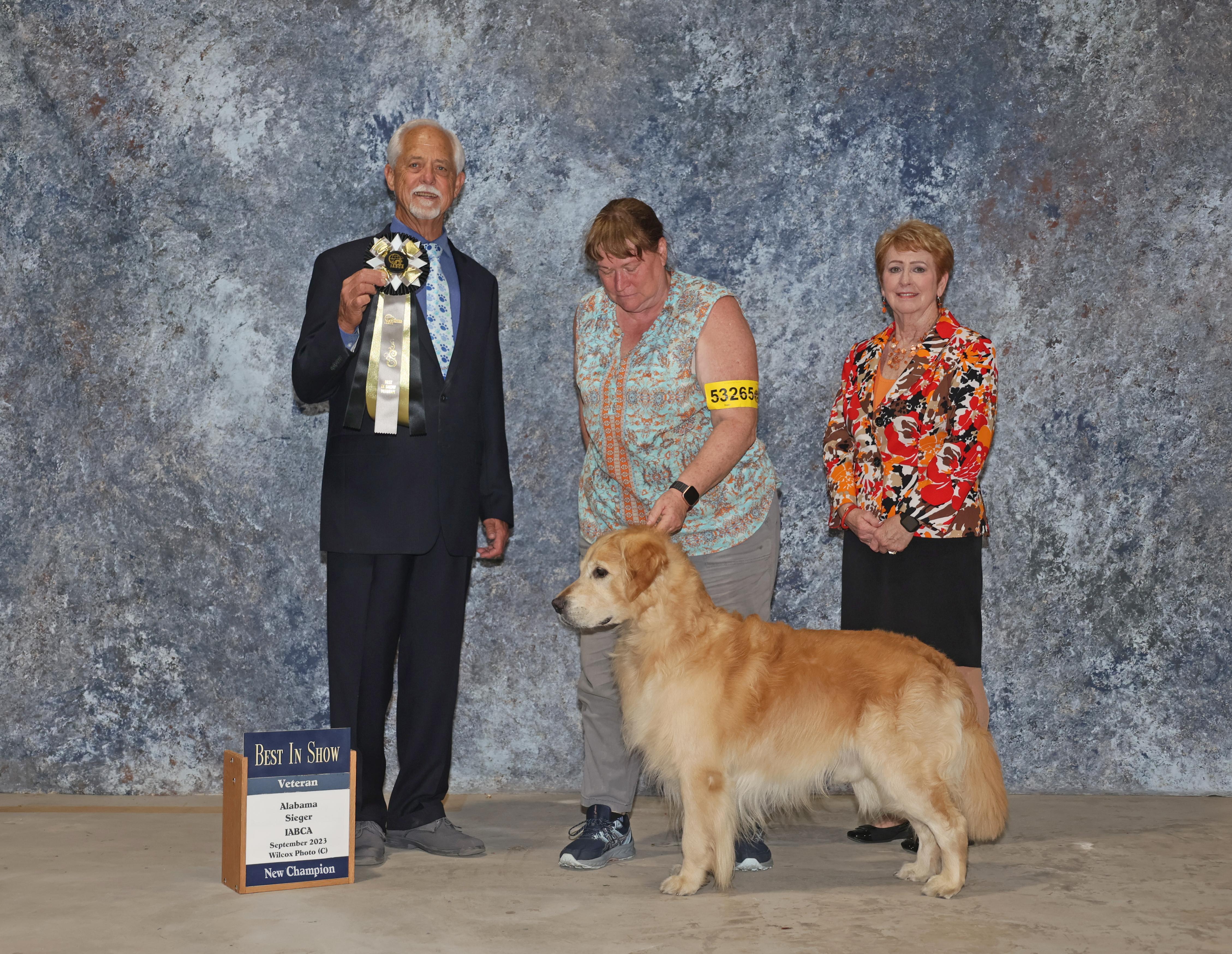 Katherine's Golden Retrievers, Gordon Setters, and English Setters in ...