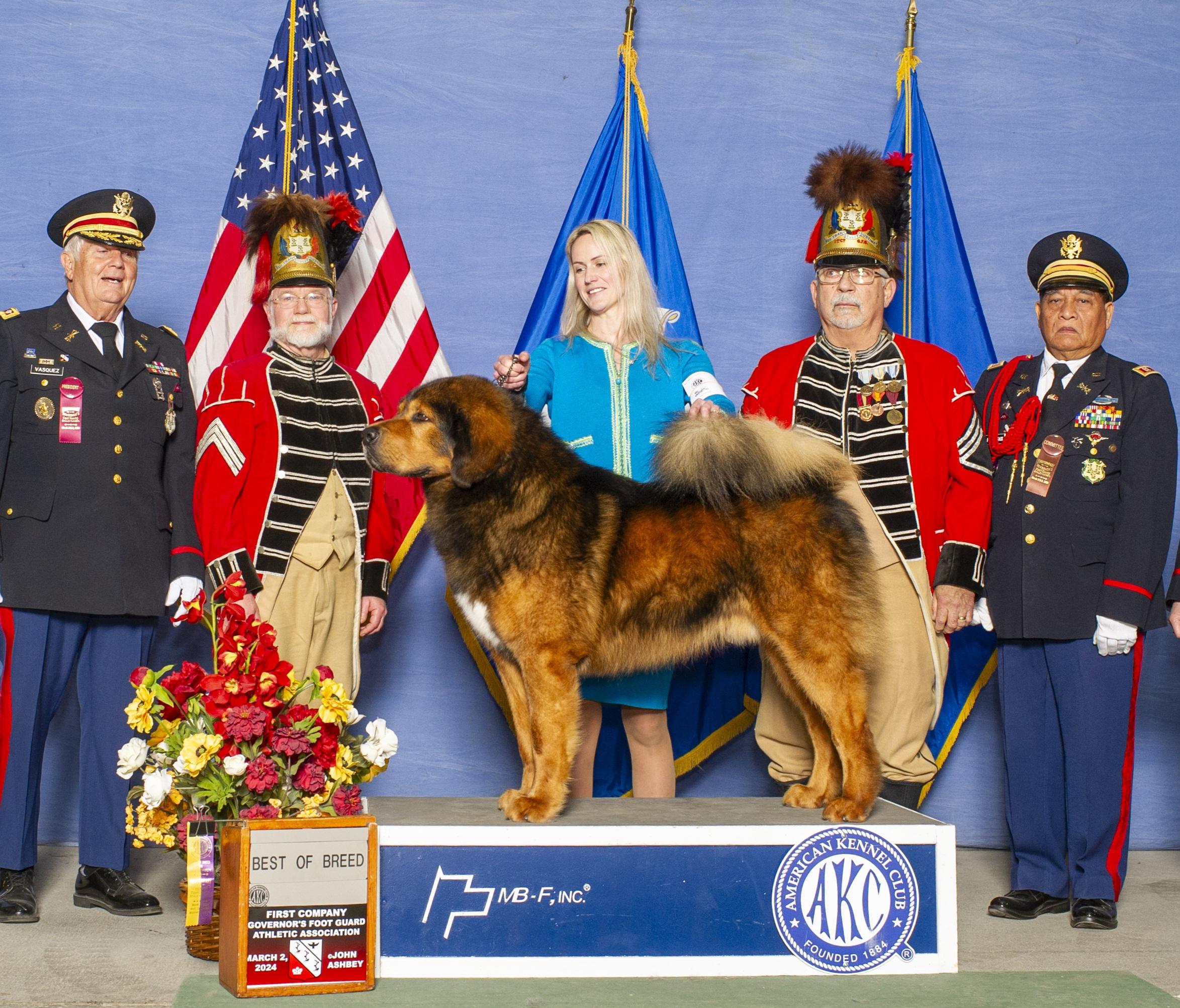 Alpine Tibetan Mastiffs in Pennsylvania | Tibetan Mastiff puppies ...