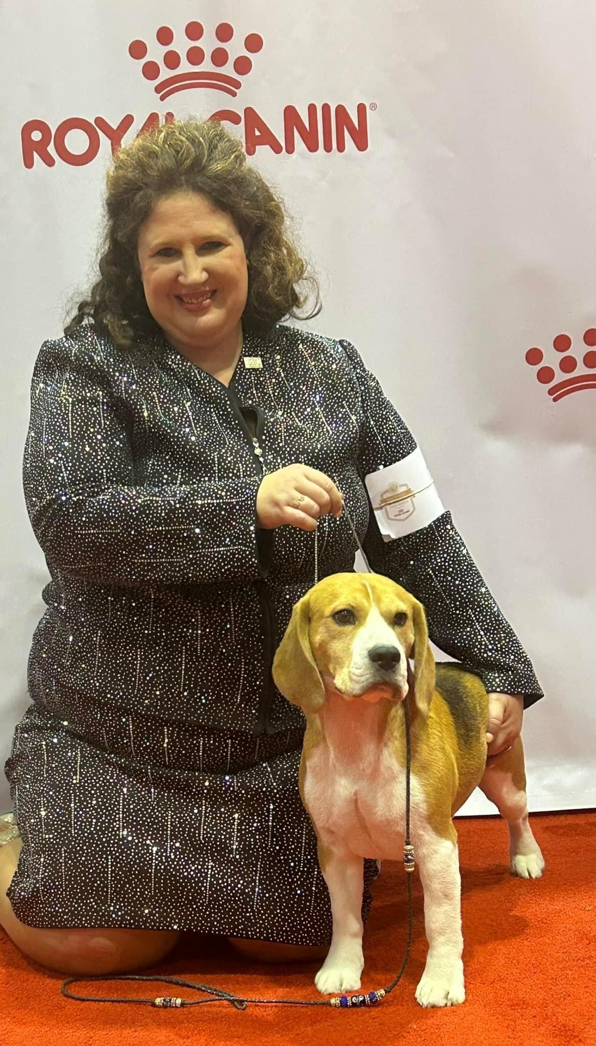 Scentini Beagles in Illinois | Beagle puppies | Good Dog
