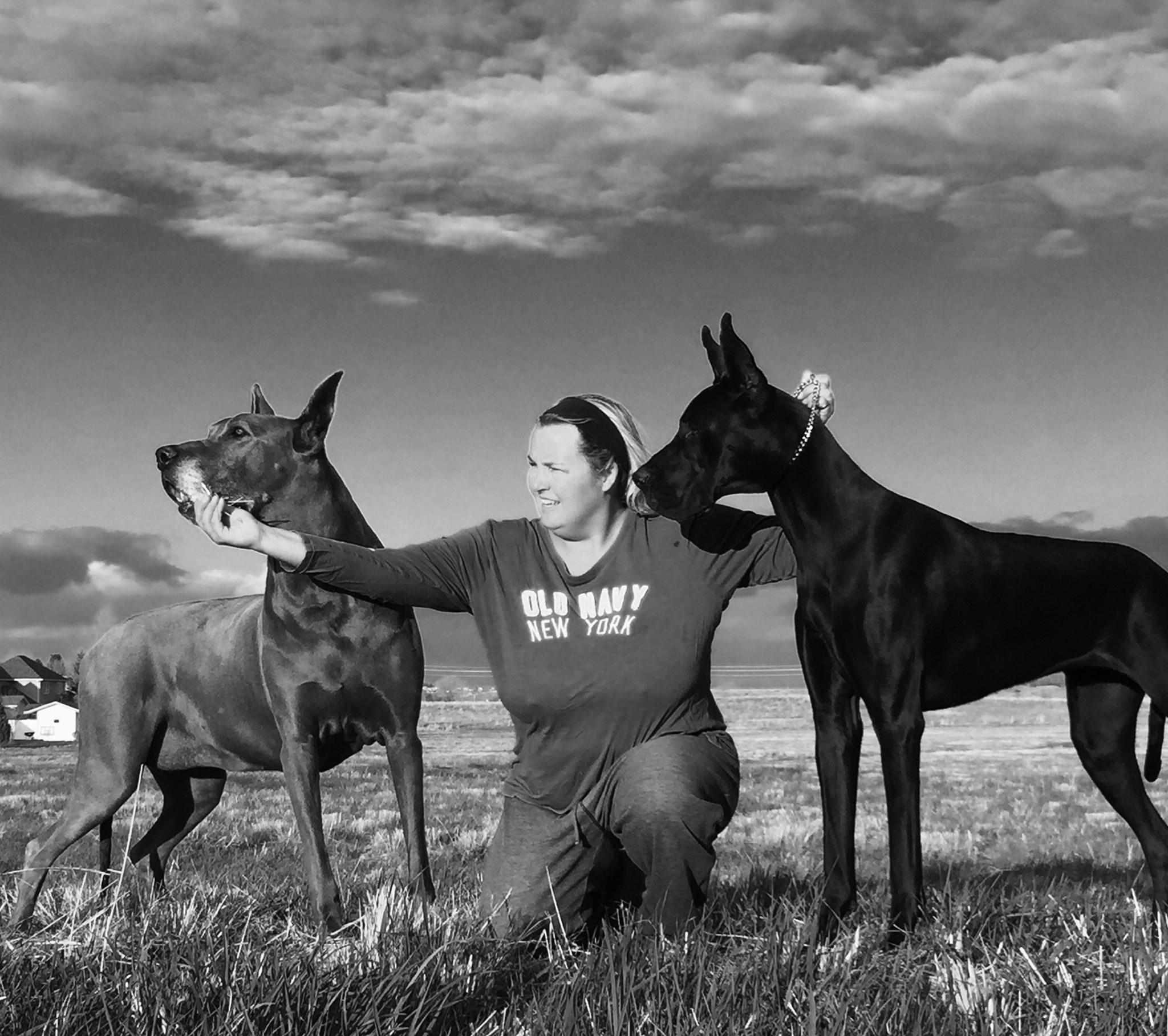 Thresher Danes in Montana | Great Dane puppies | Good Dog