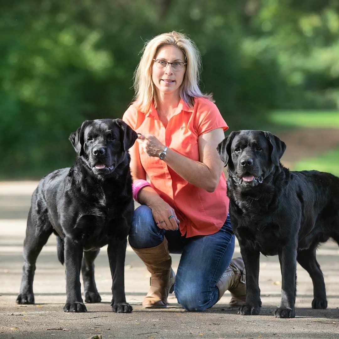 Clearwater Labradors in Illinois | Labrador Retriever puppies | Good Dog