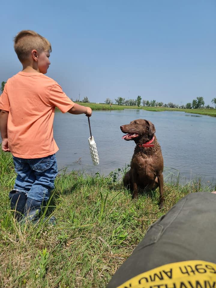 GSP Outdoors in North Dakota | Chesapeake Bay Retriever and German ...