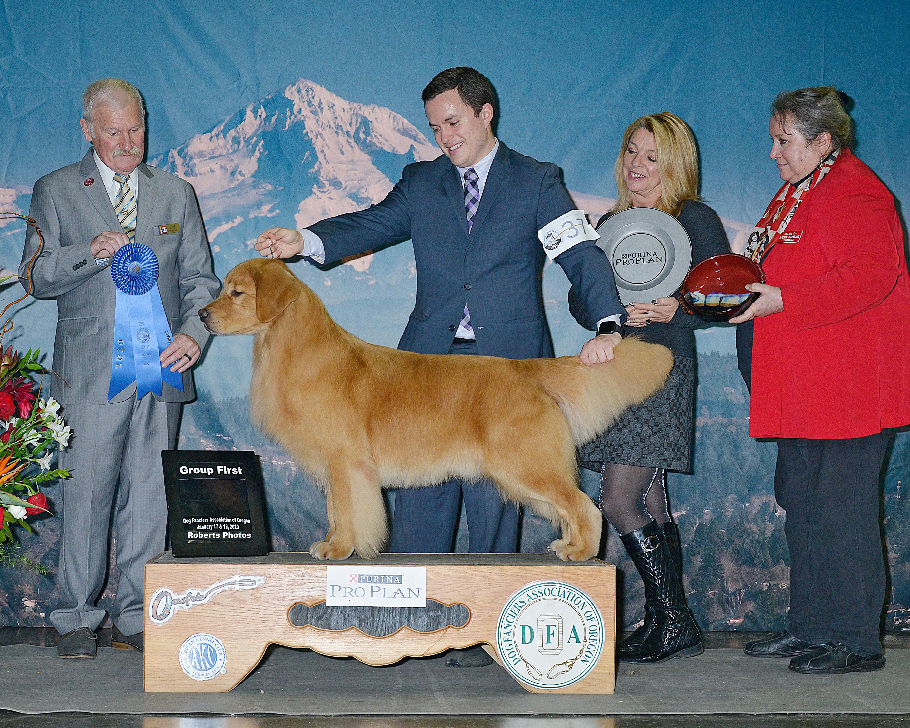 Smold Stone Kennel in Washington | Golden Retriever puppies | Good Dog