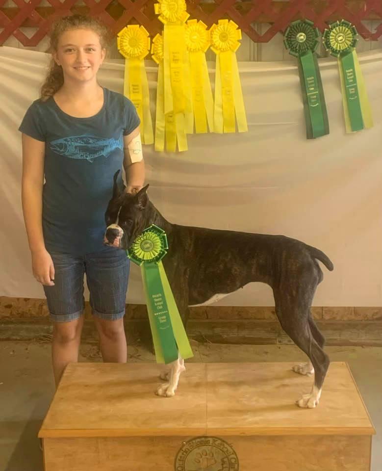 Barbara Wiemer's Boxers in | Boxer puppies | Good Dog